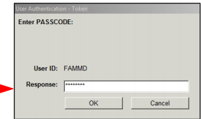 RSA Token App — The Children's Hospital at Montefiore