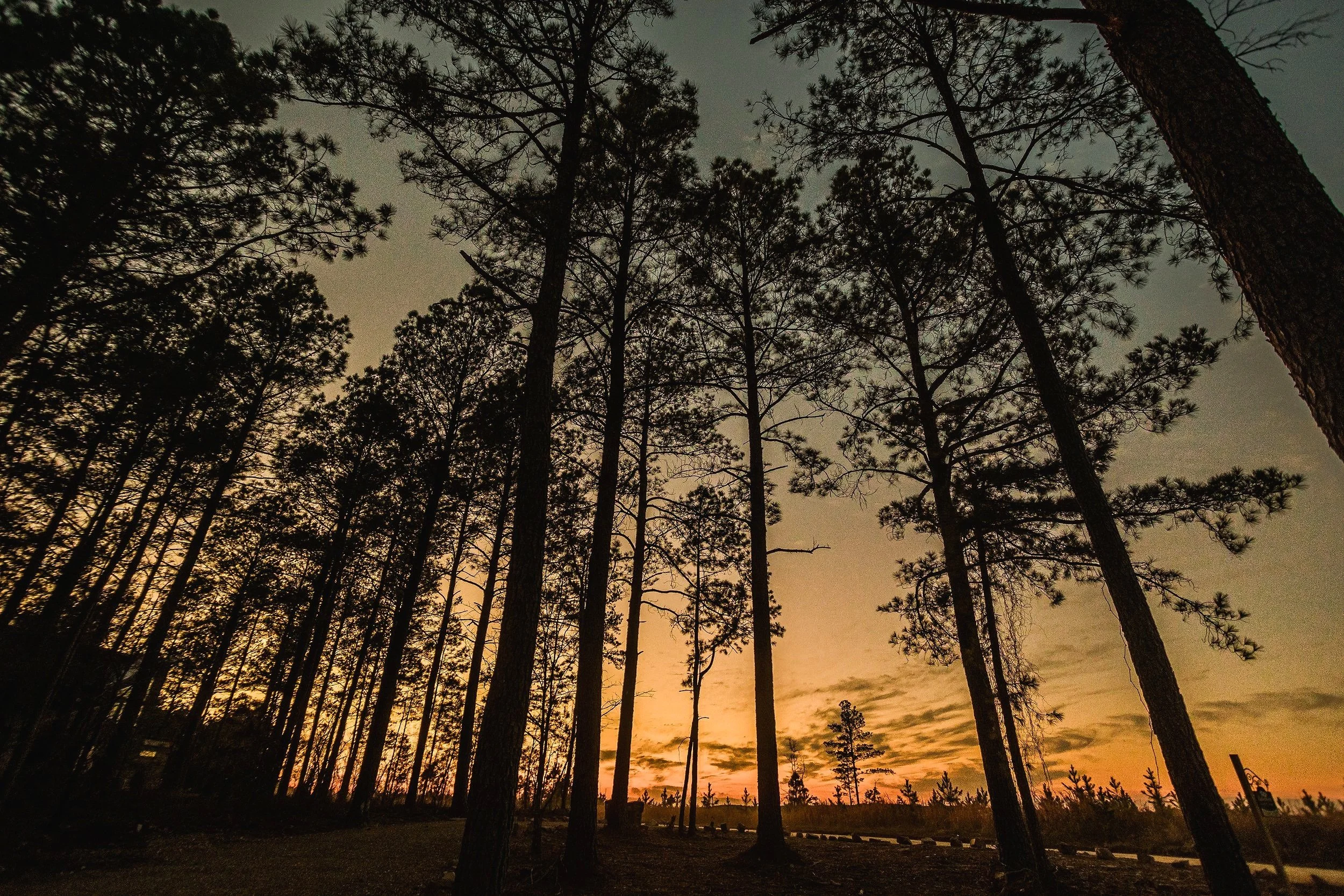 Deals | Book Exclusive Cabin Deals Today — Lakewood Luxury Cabins ...