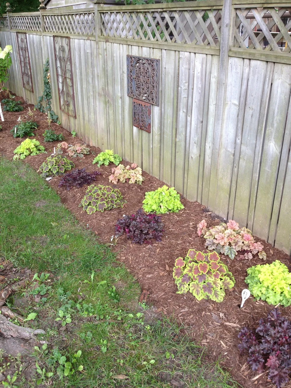 Fine Gardening — Kate's Garden