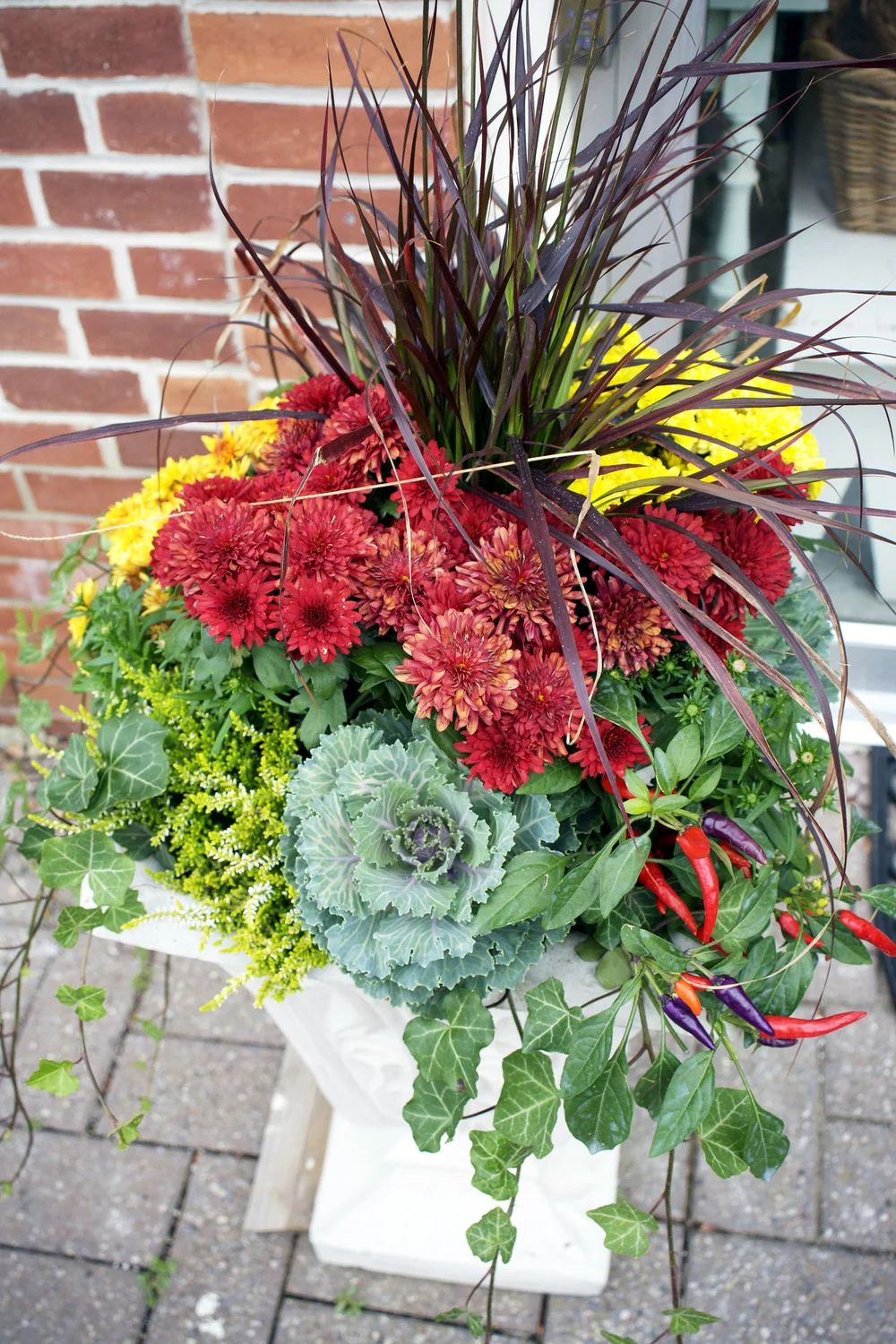 An Introduction to Our Services — Kate's Garden