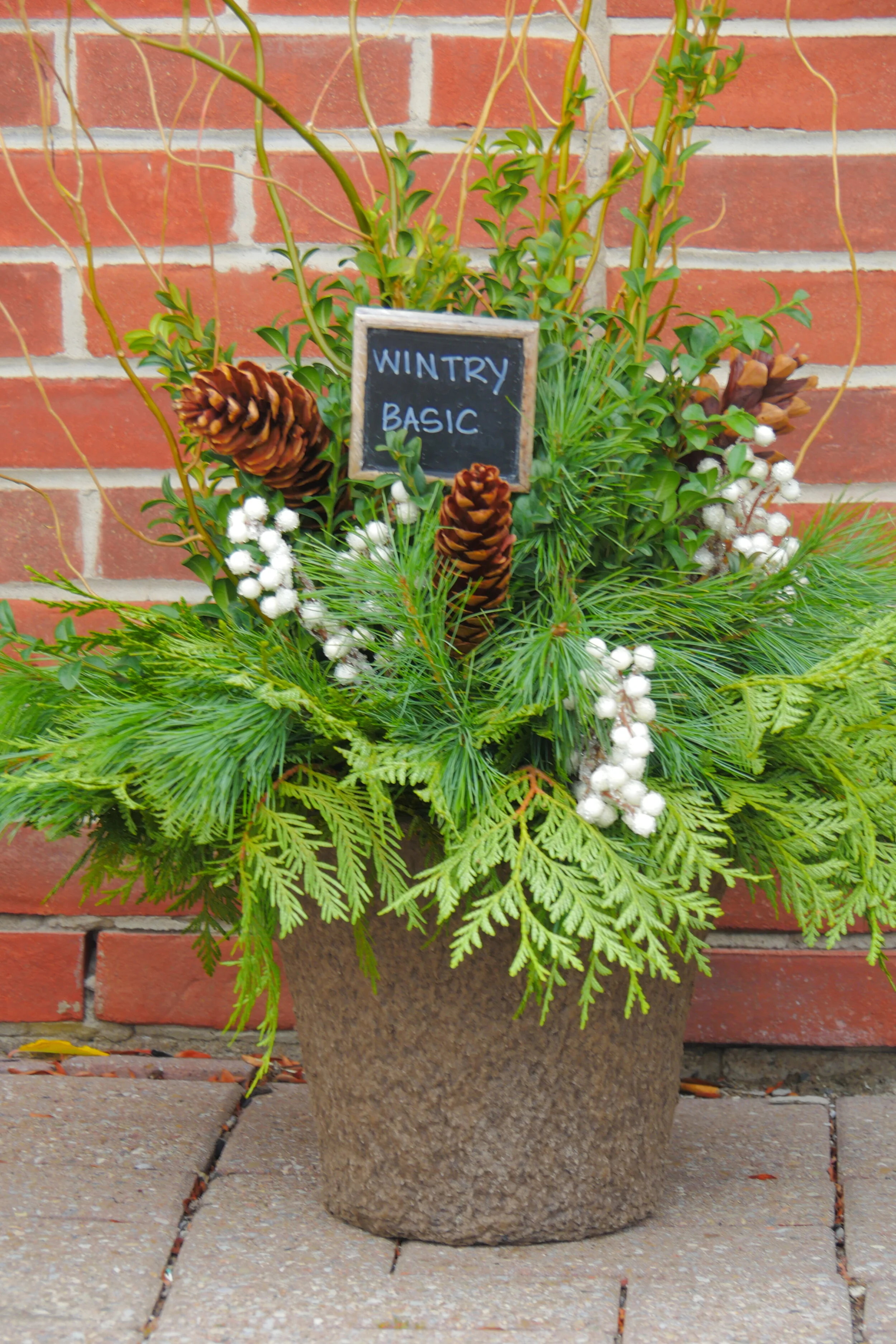 At Home Custom Container Gardening — Kate's Garden