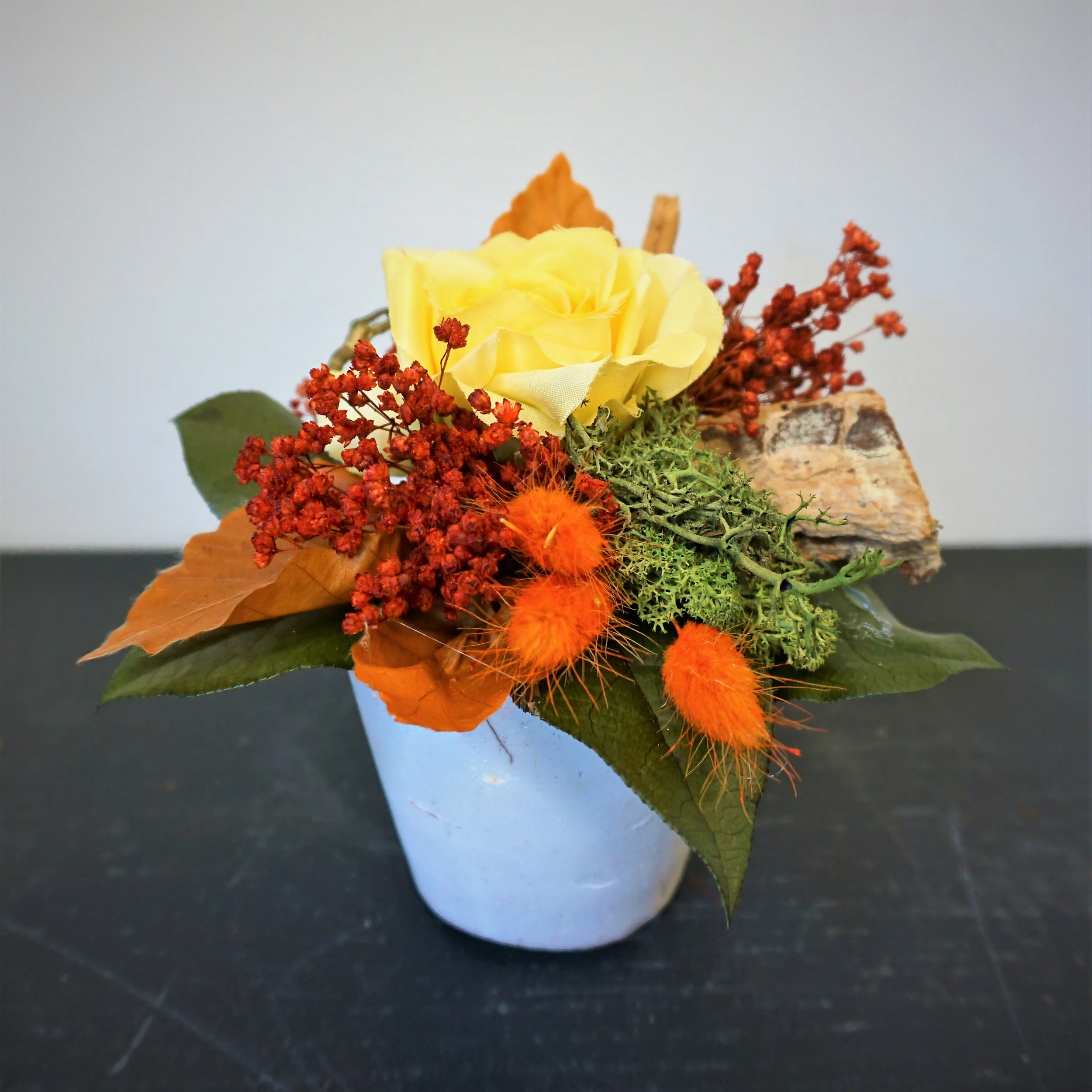 Botanicals — Kate's Garden
