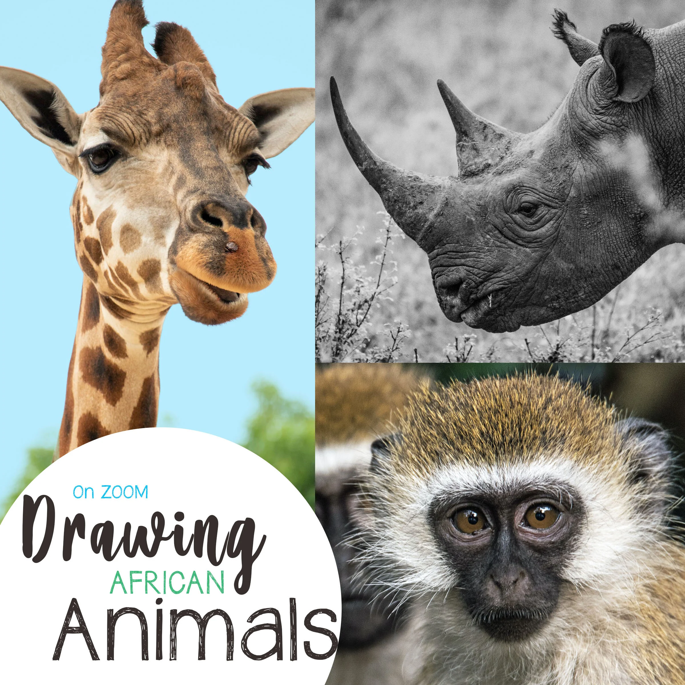Online: Drawing African Animals — Cloud 9