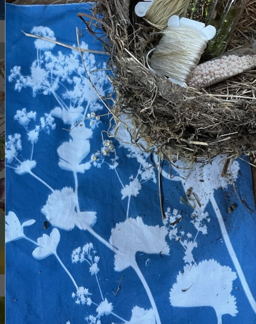 INTRODUCTION TO CREATING CYANOTYPES — Cloud 9