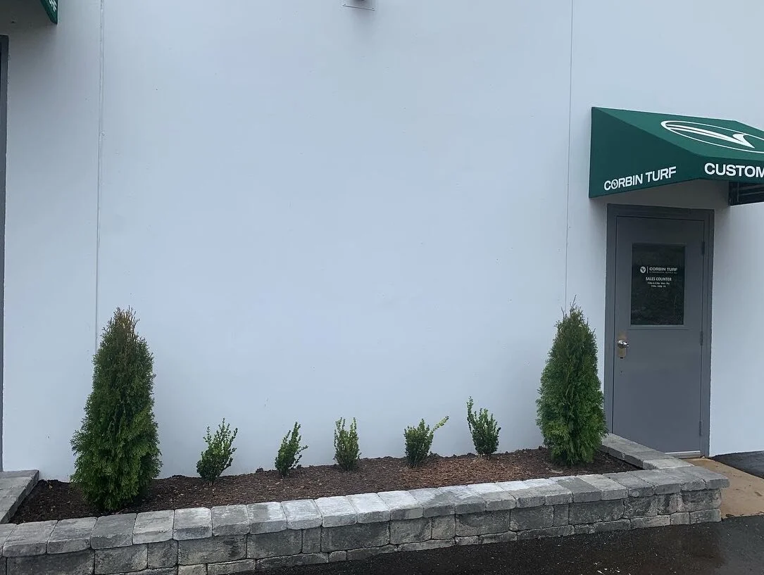 Corbin Turf