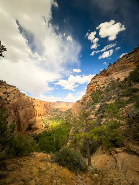 No risk, no fun - Von Navajo bis Muley Point — Hikers ain't No Mads