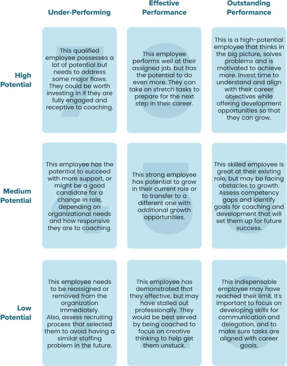 Using A Nine Box To Evaluate And Optimize Your Collective Team using-a-nine-box-to-evaluate-and-optimize-your-collective-team