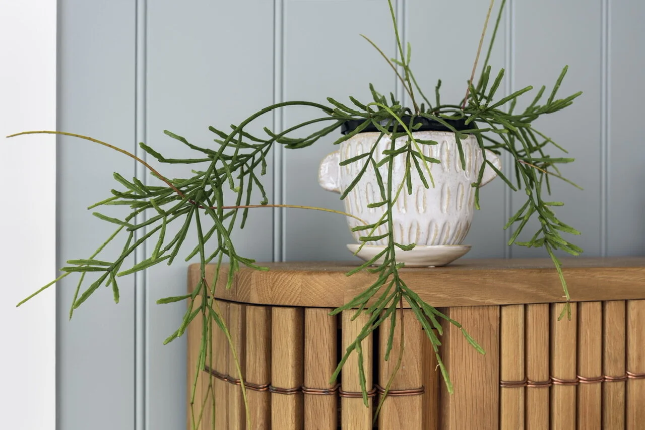 Hunter Interior Design - Newcastle & Hunter Valley Interior Designer