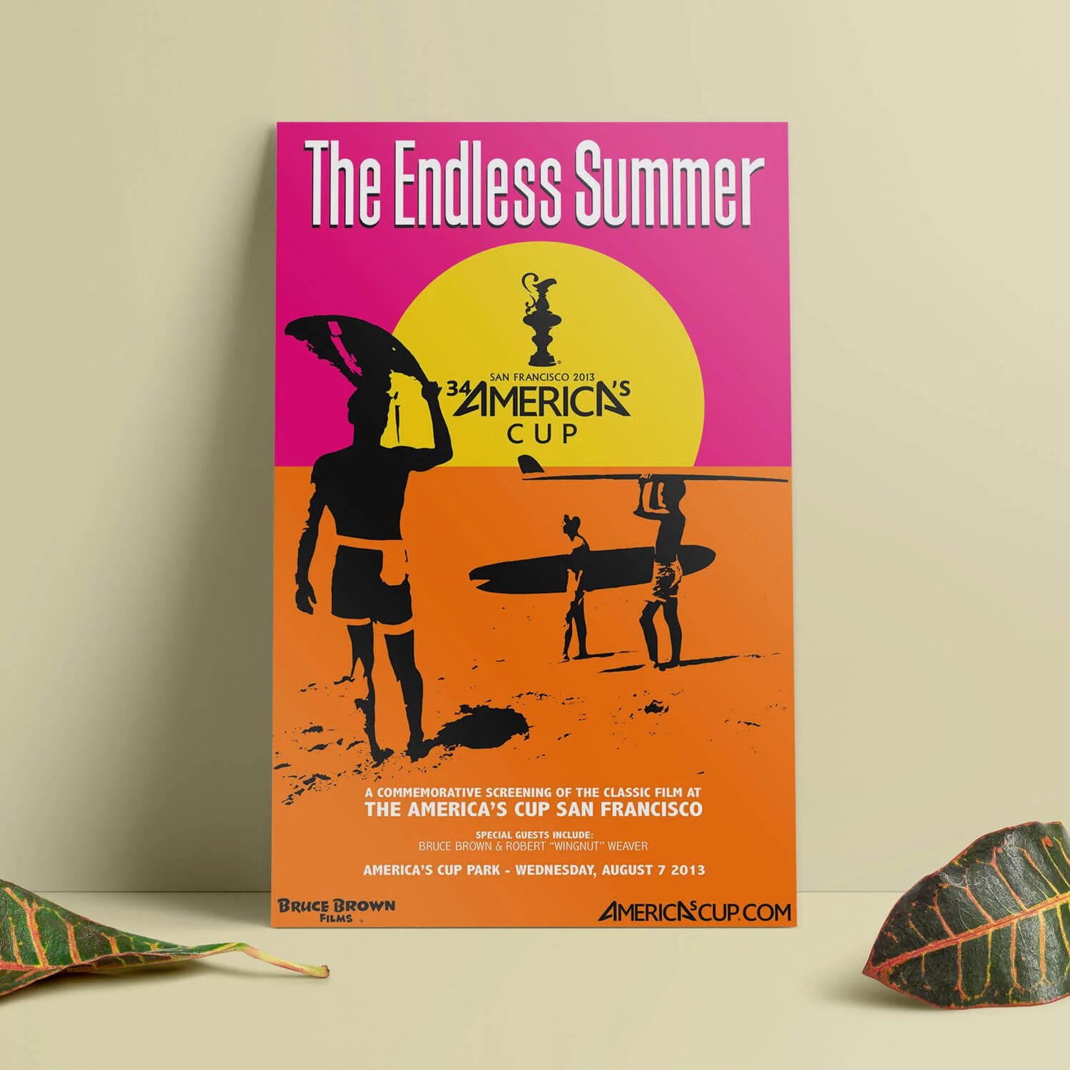 Shop online — Bruce Brown Films