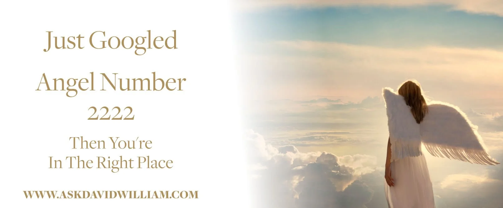 Angel Numbers 2222 — David William Psychic Medium
