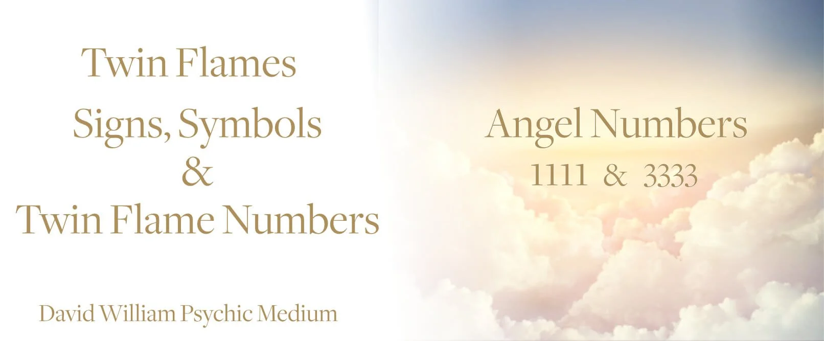 Twin Flames — David William Psychic Medium