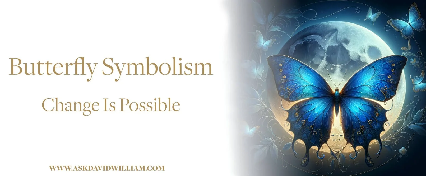 Butterfly Tattoo Meaning — David William Psychic Medium