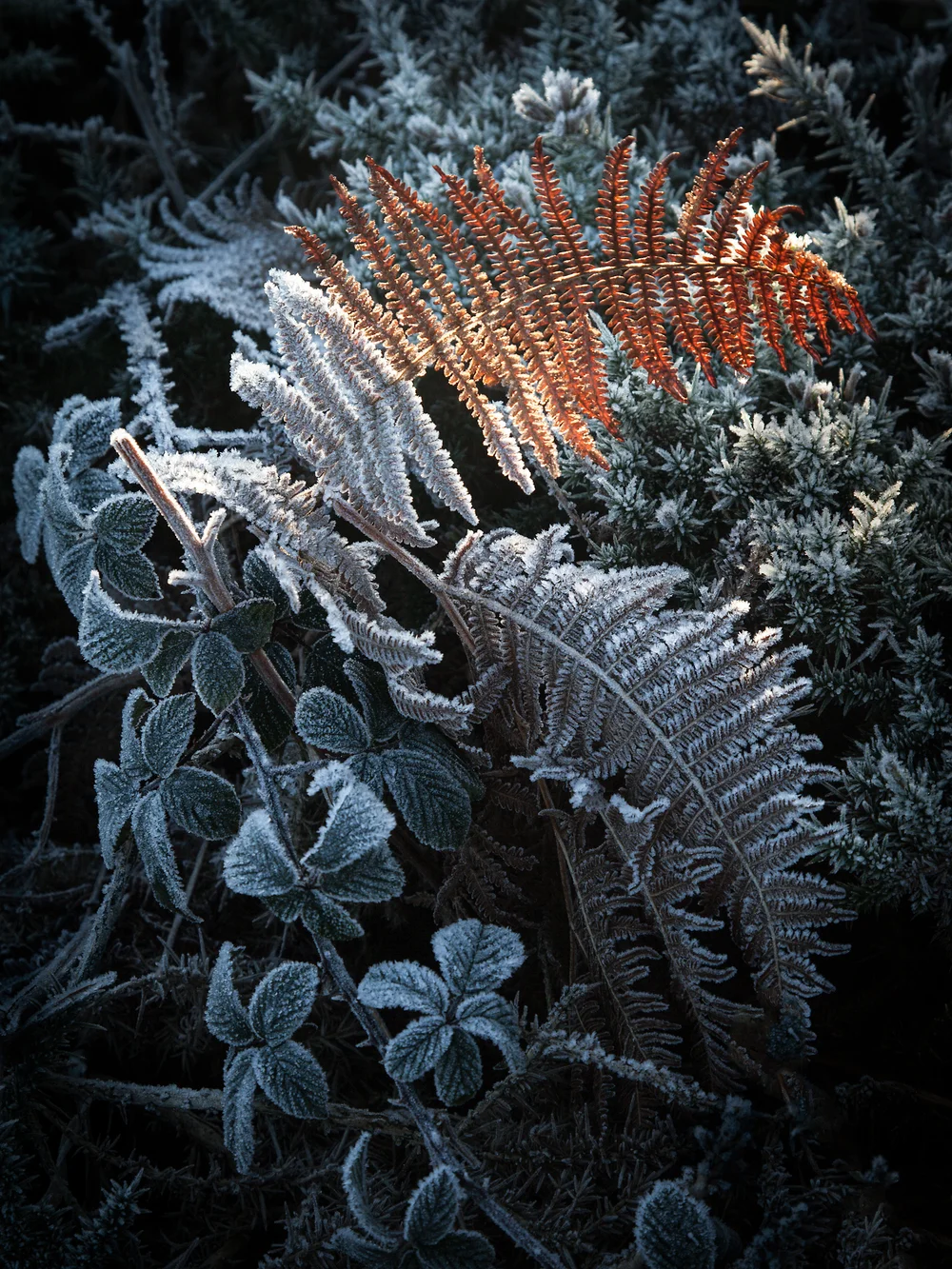 Landscape Photographer of the Year 2015 — Justin Minns Photography