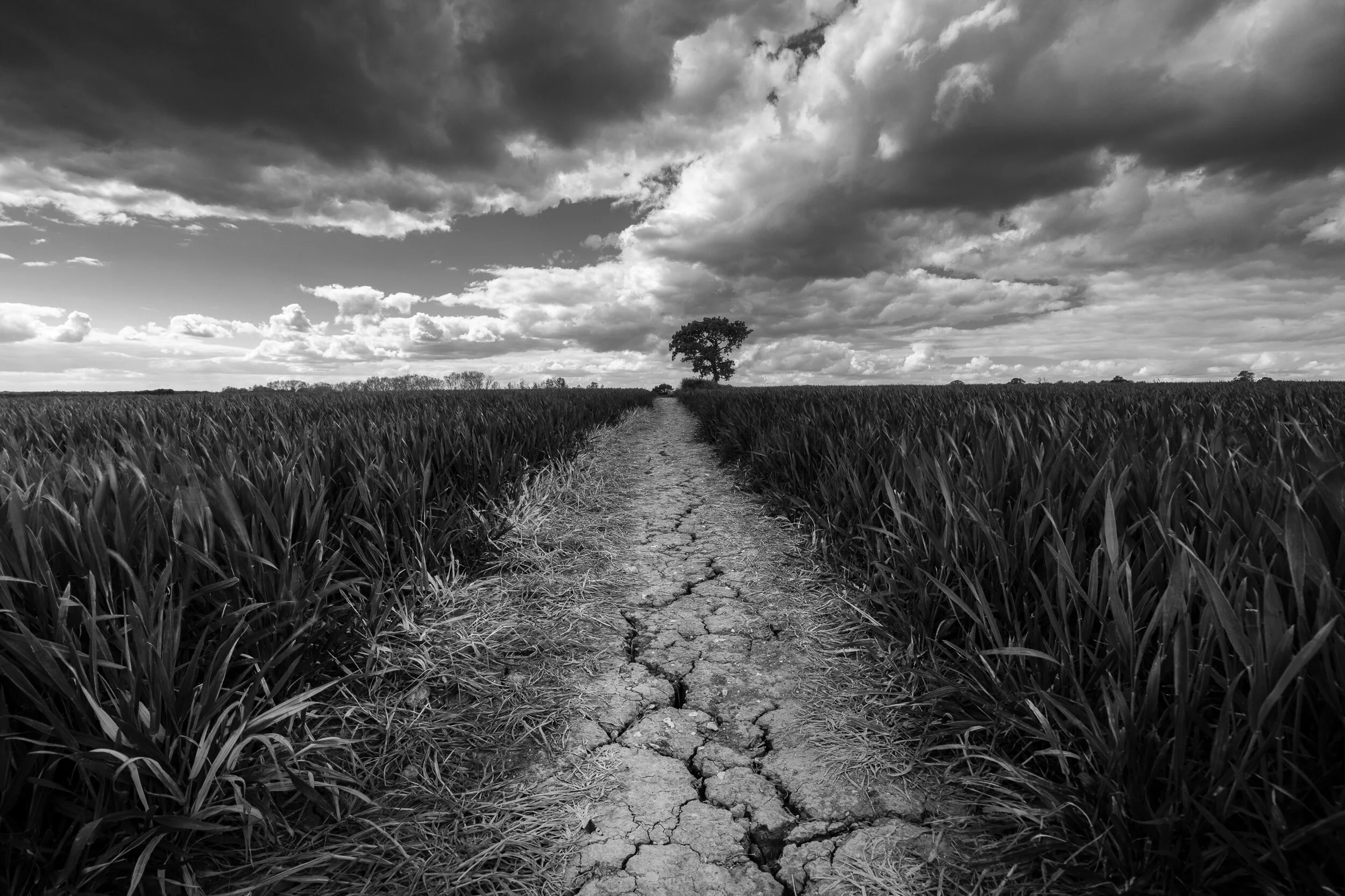 Atmospheric landscape photography — Justin Minns Photography