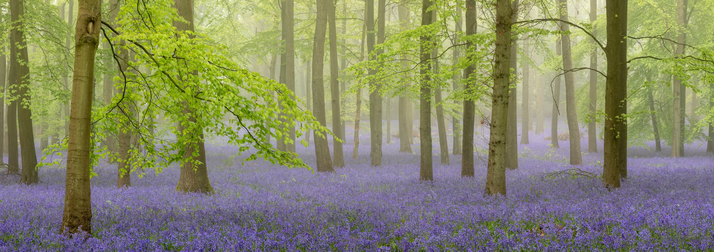 Atmospheric landscape photography — Justin Minns Photography