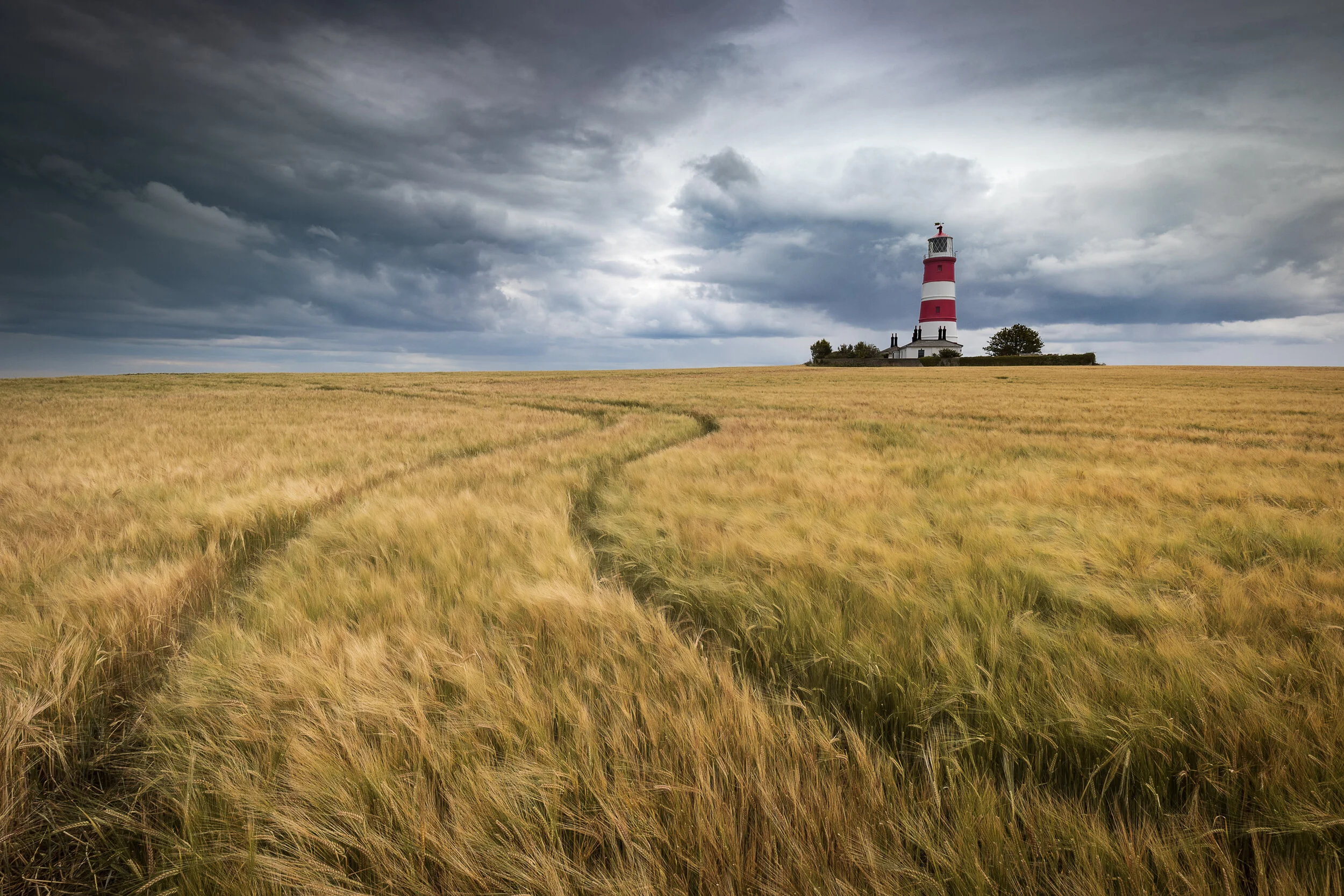 Norfolk landscape photography — Justin Minns Photography