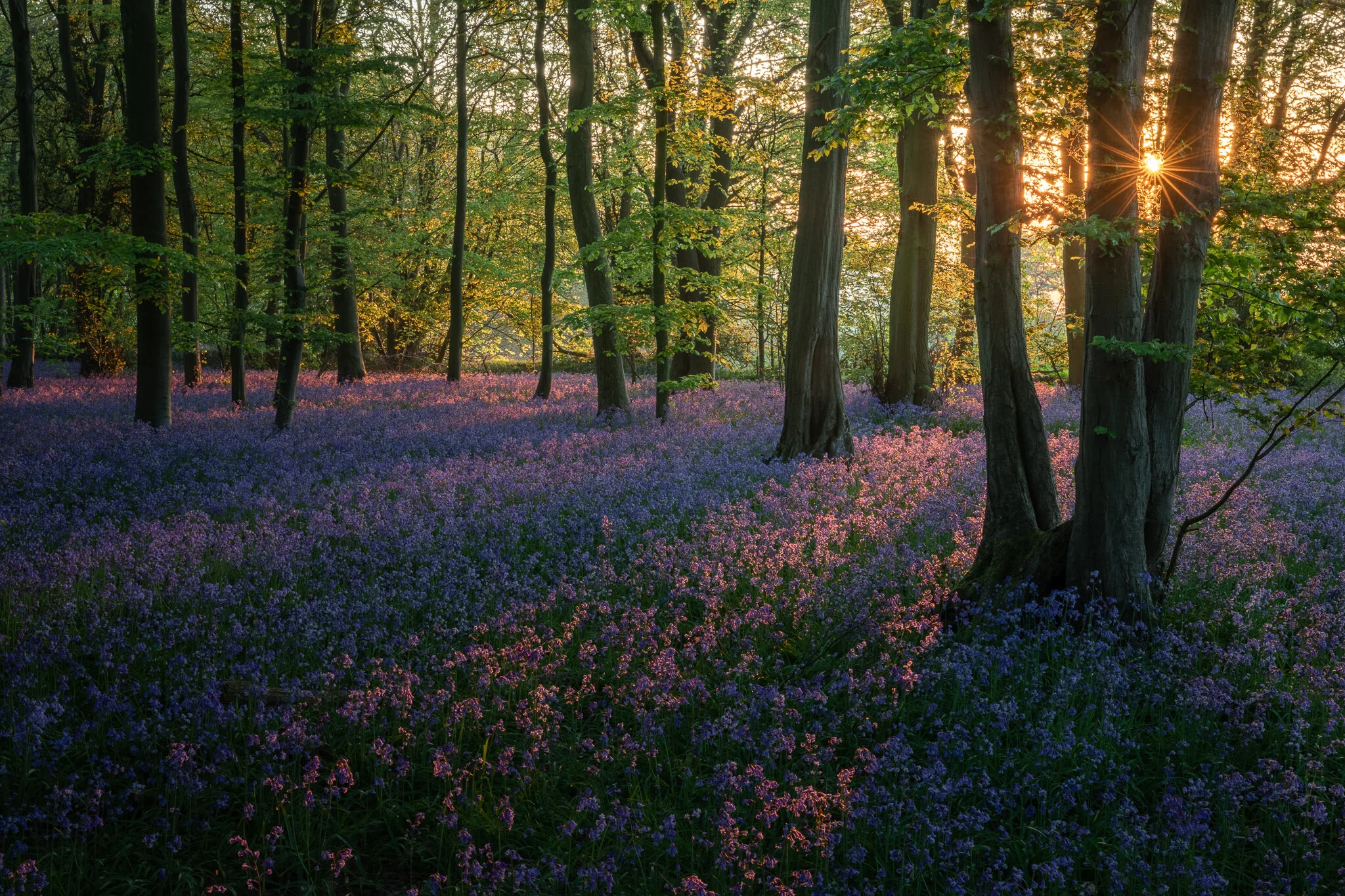 Inspiring Landscape photography workshops in East Anglia — Justin Minns ...