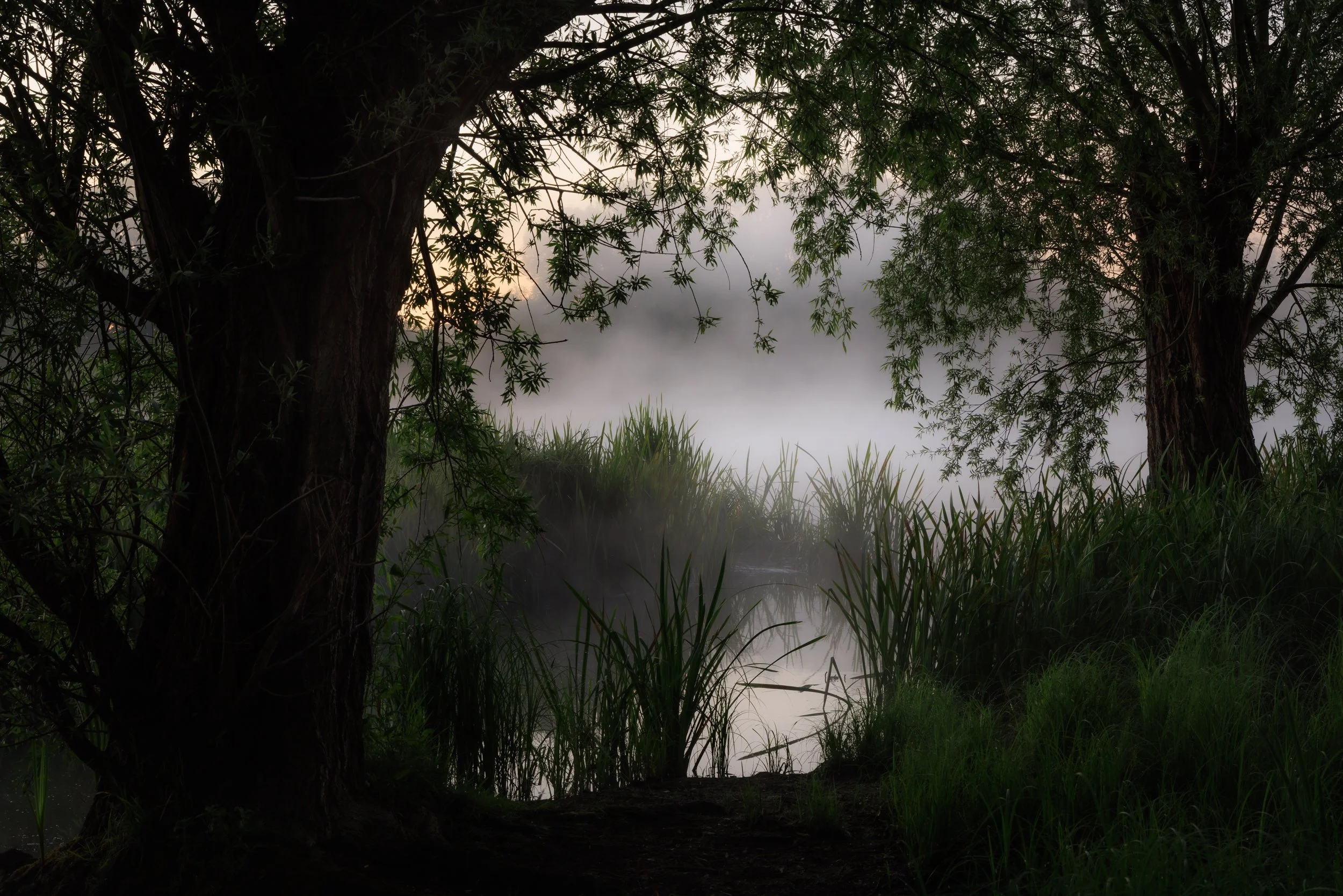 Suffolk landscape photography — Justin Minns Photography