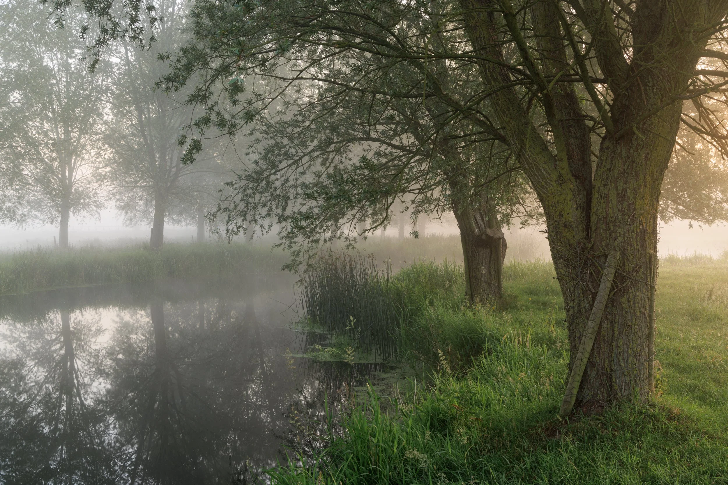 Suffolk landscape photography — Justin Minns Photography