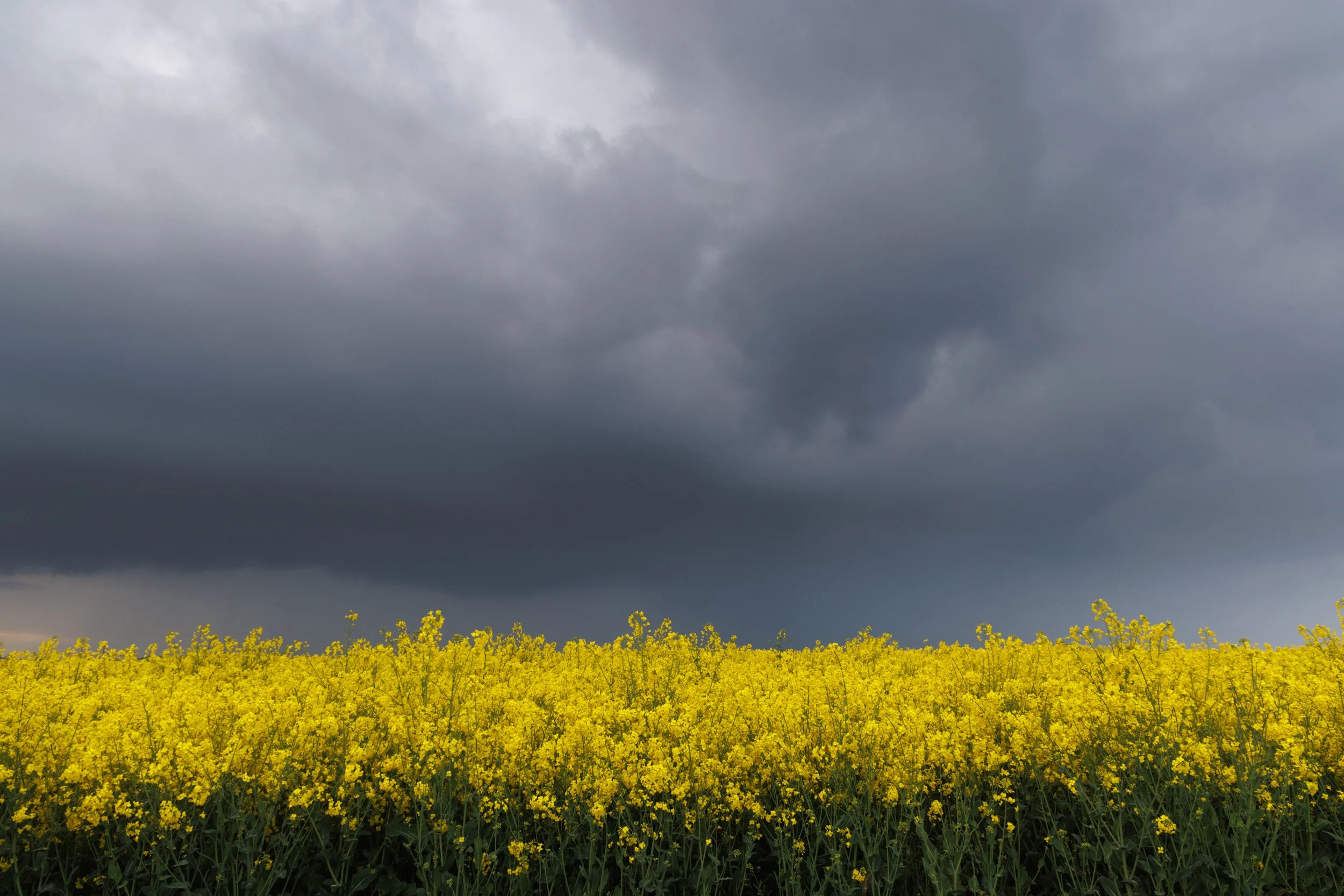 Suffolk landscape photography — Justin Minns Photography