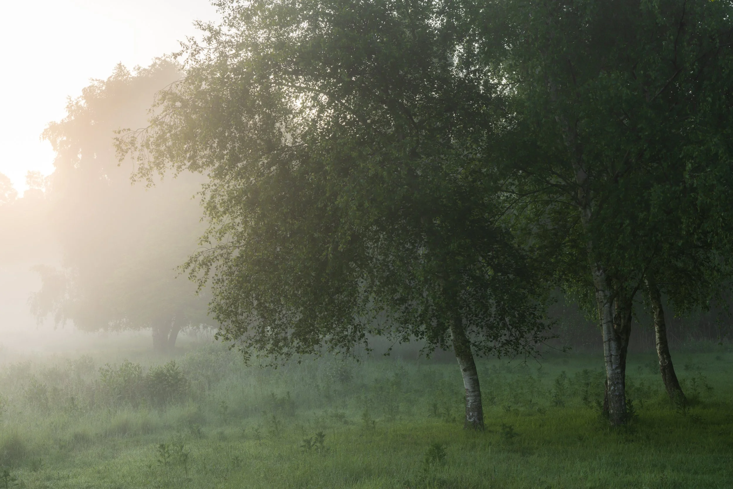 Suffolk landscape photography — Justin Minns Photography