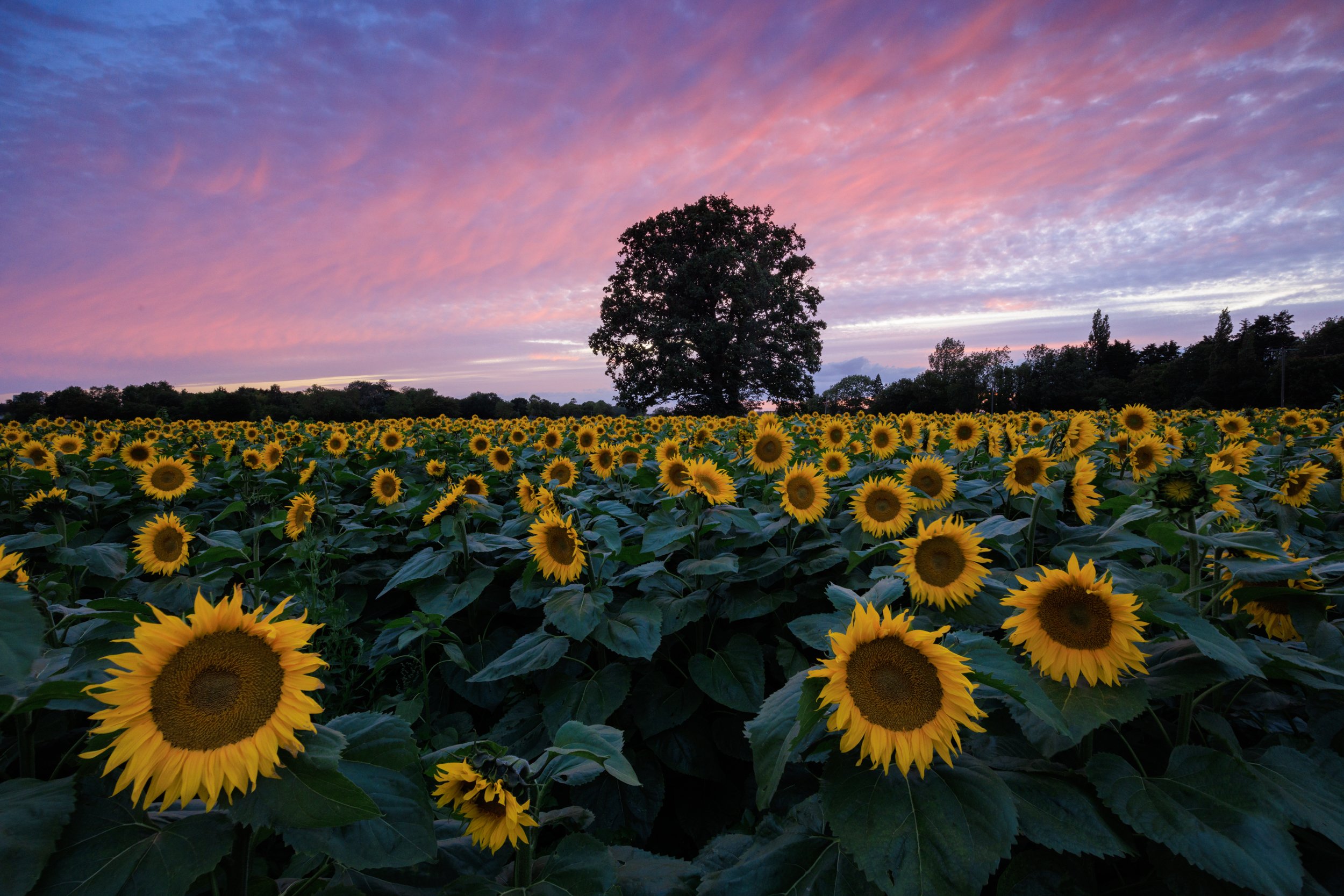 One day photography workshops — Justin Minns Photography