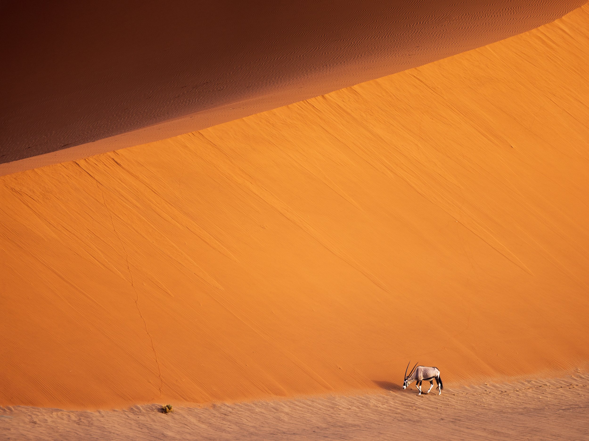 Justin Minns Photography | Award-Winning Landscape Photographer in East ...