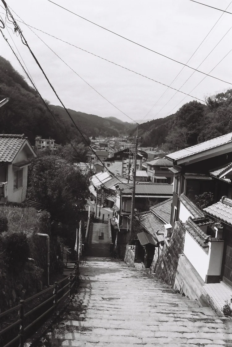 A MORNING IN HASEDERA PHOTO SERIES- PART 2 — We Speak in Colors