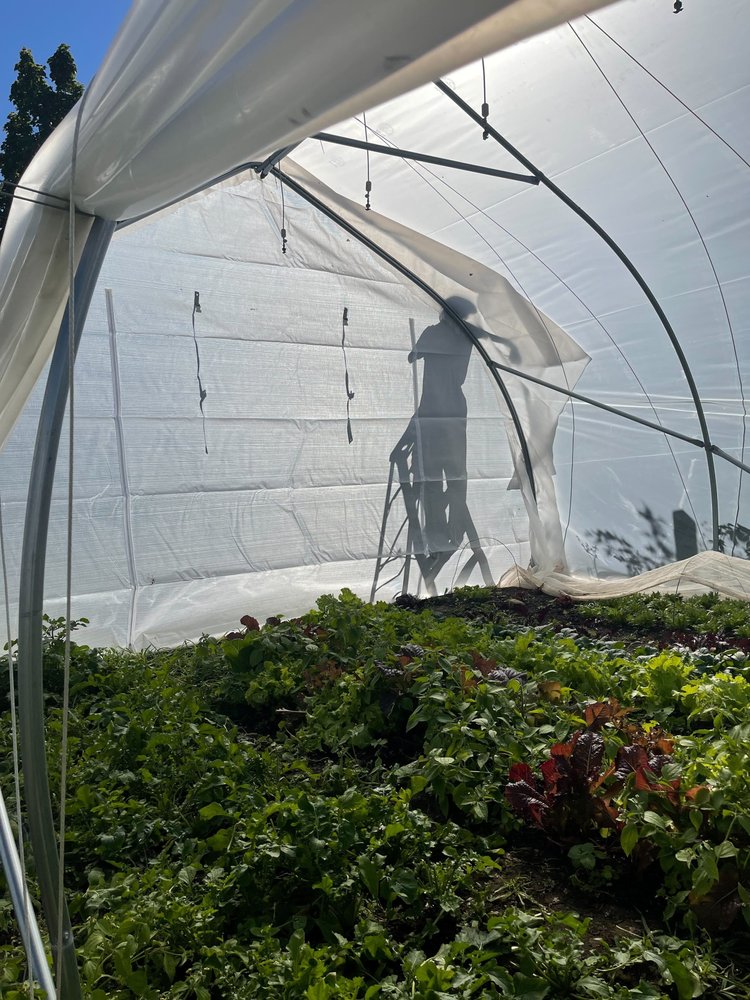 Franklinton Farms