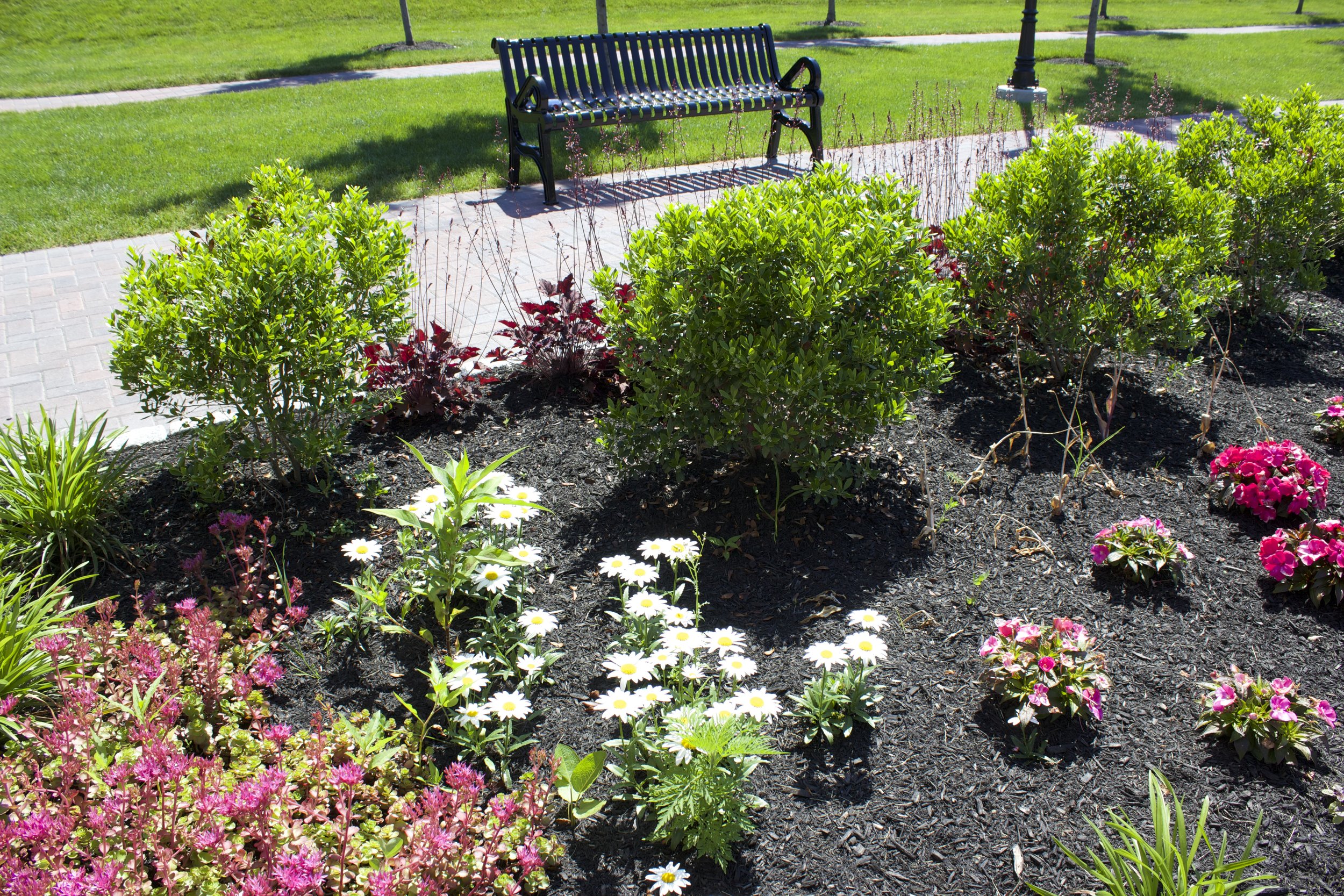 Westborough Village — WDA Design Group