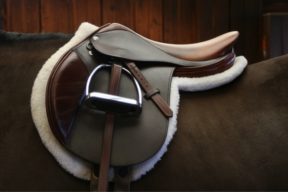 Jumping Saddles - Tad Coffin Performance Saddles — Tad Coffin ...