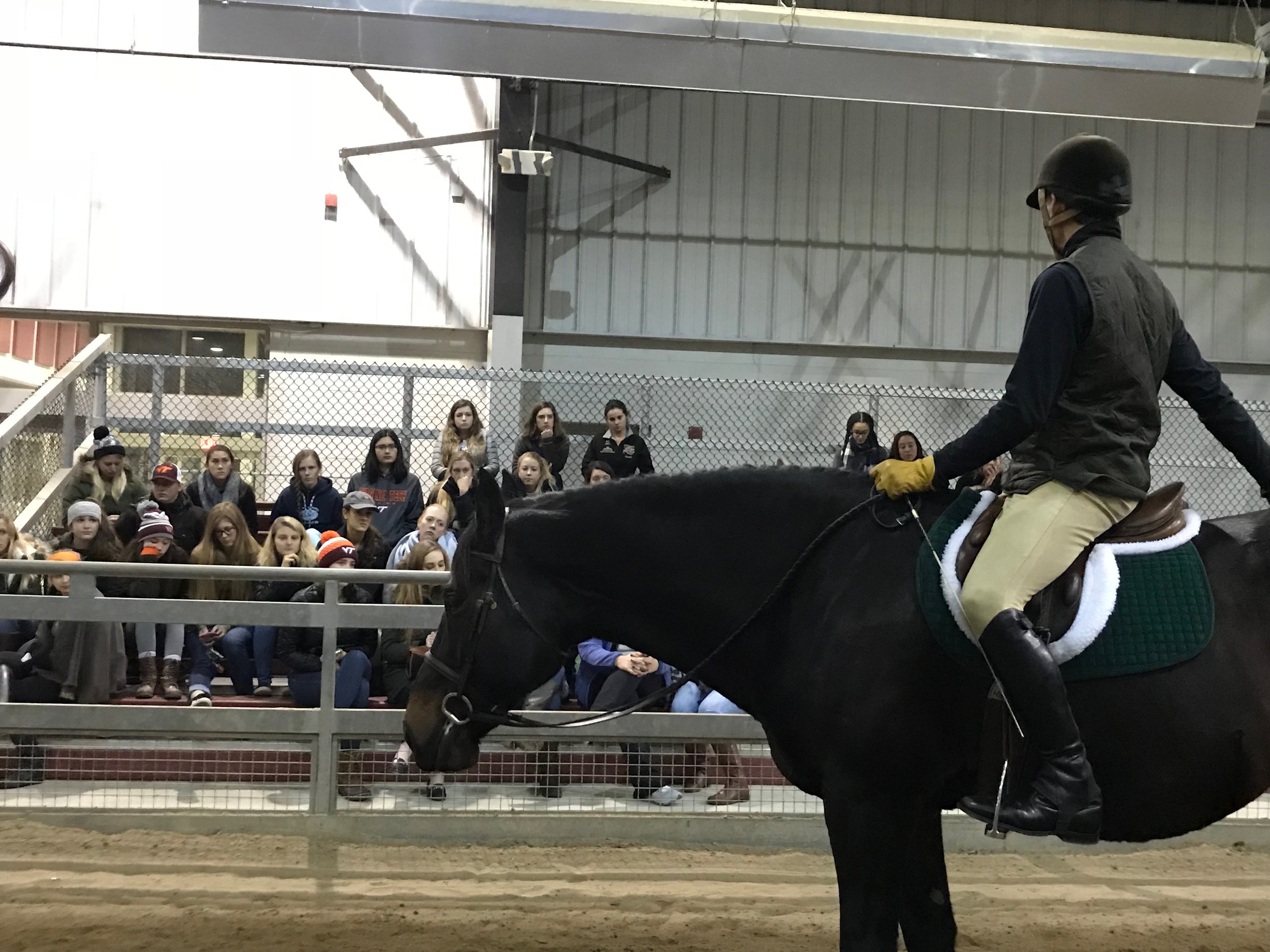 Contact Us - Tad Coffin Performance Saddles — Tad Coffin Performance ...