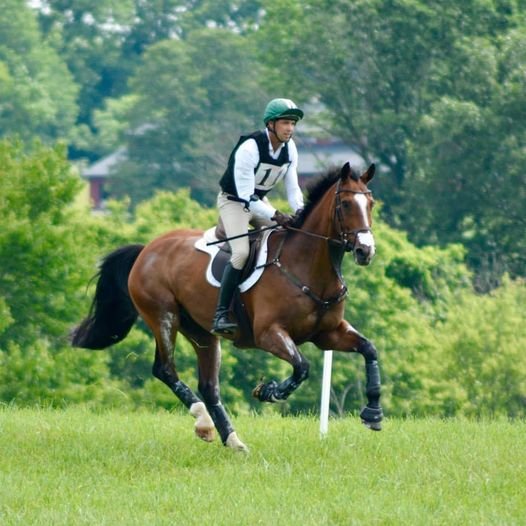 Horses and Grounding — Tad Coffin Performance Saddles