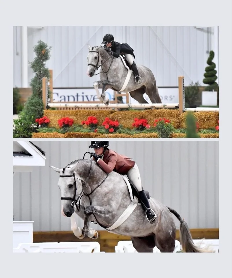 Tad Coffin Smart Ride Rx is the superior jumping saddle — Tad Coffin ...