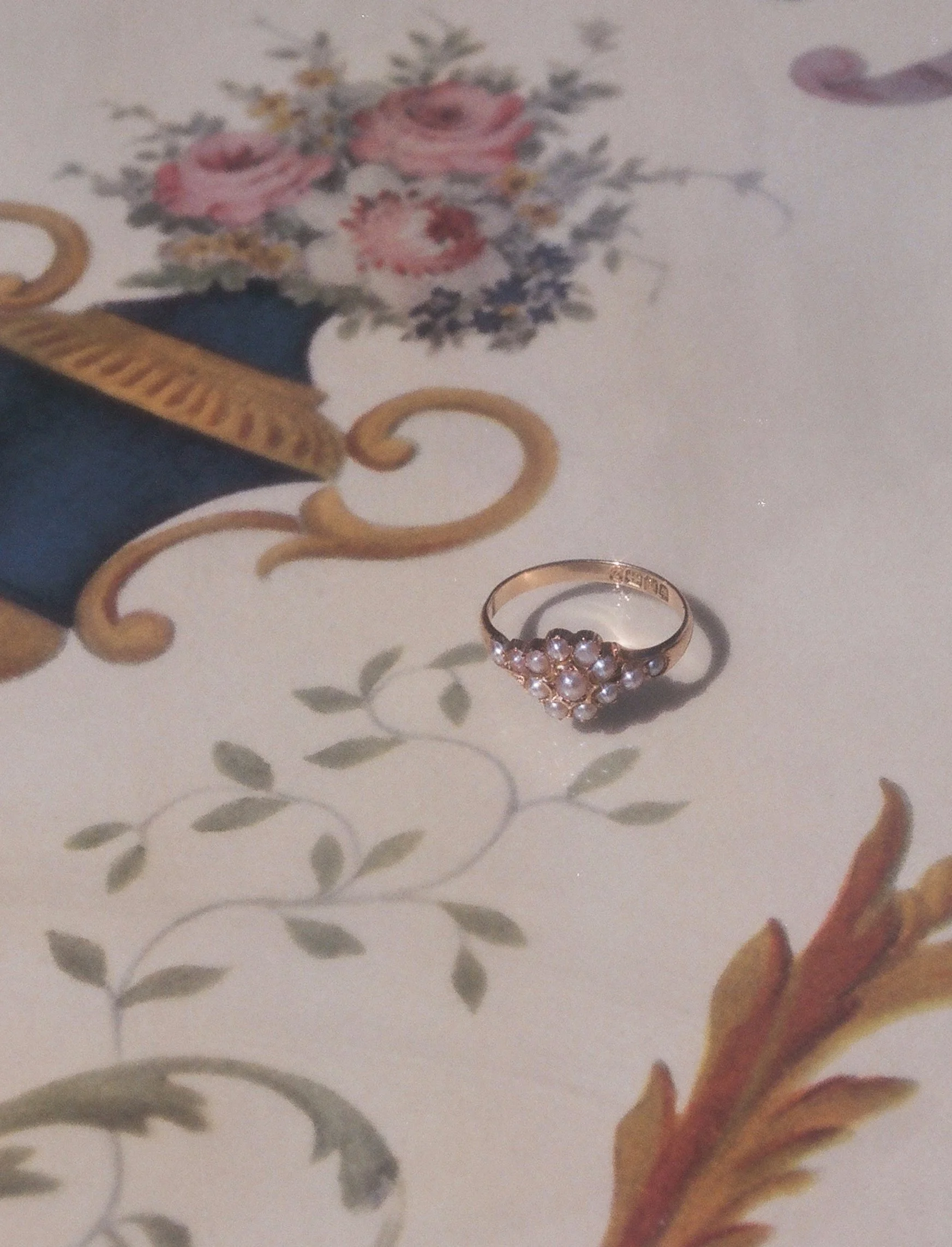 New Arrivals — Lucia Zolea