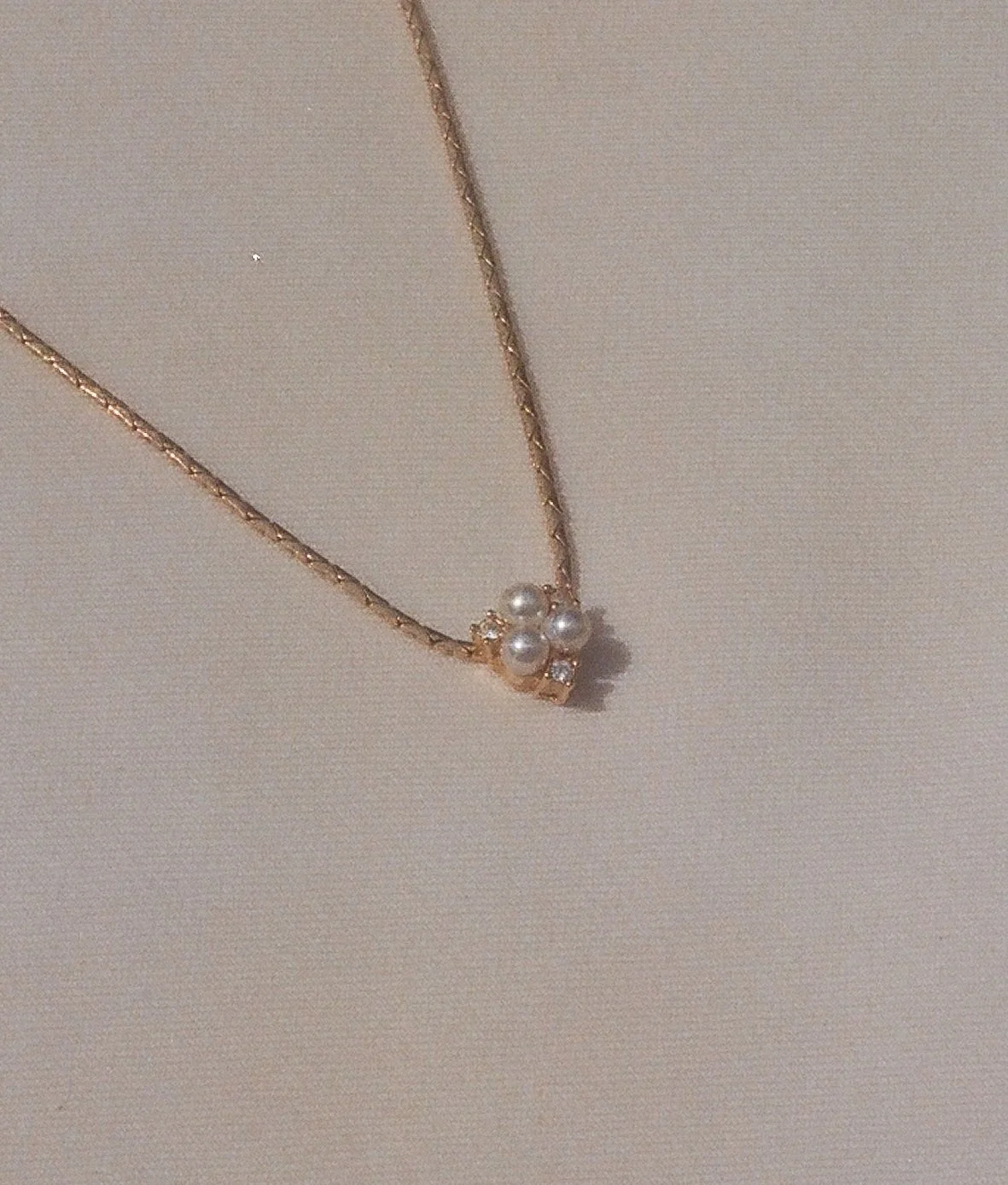 New Arrivals — Lucia Zolea