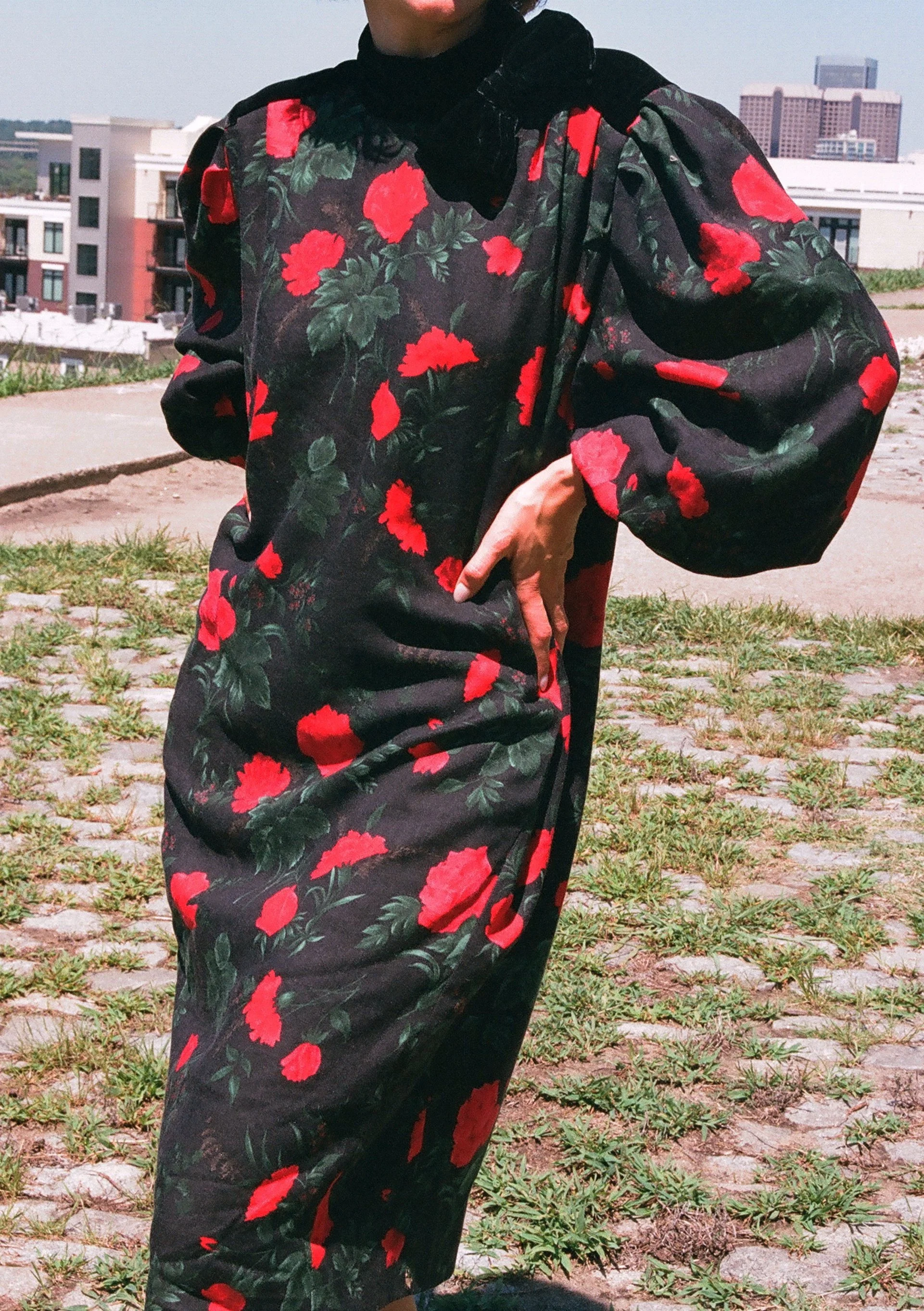 New Arrivals — Lucia Zolea