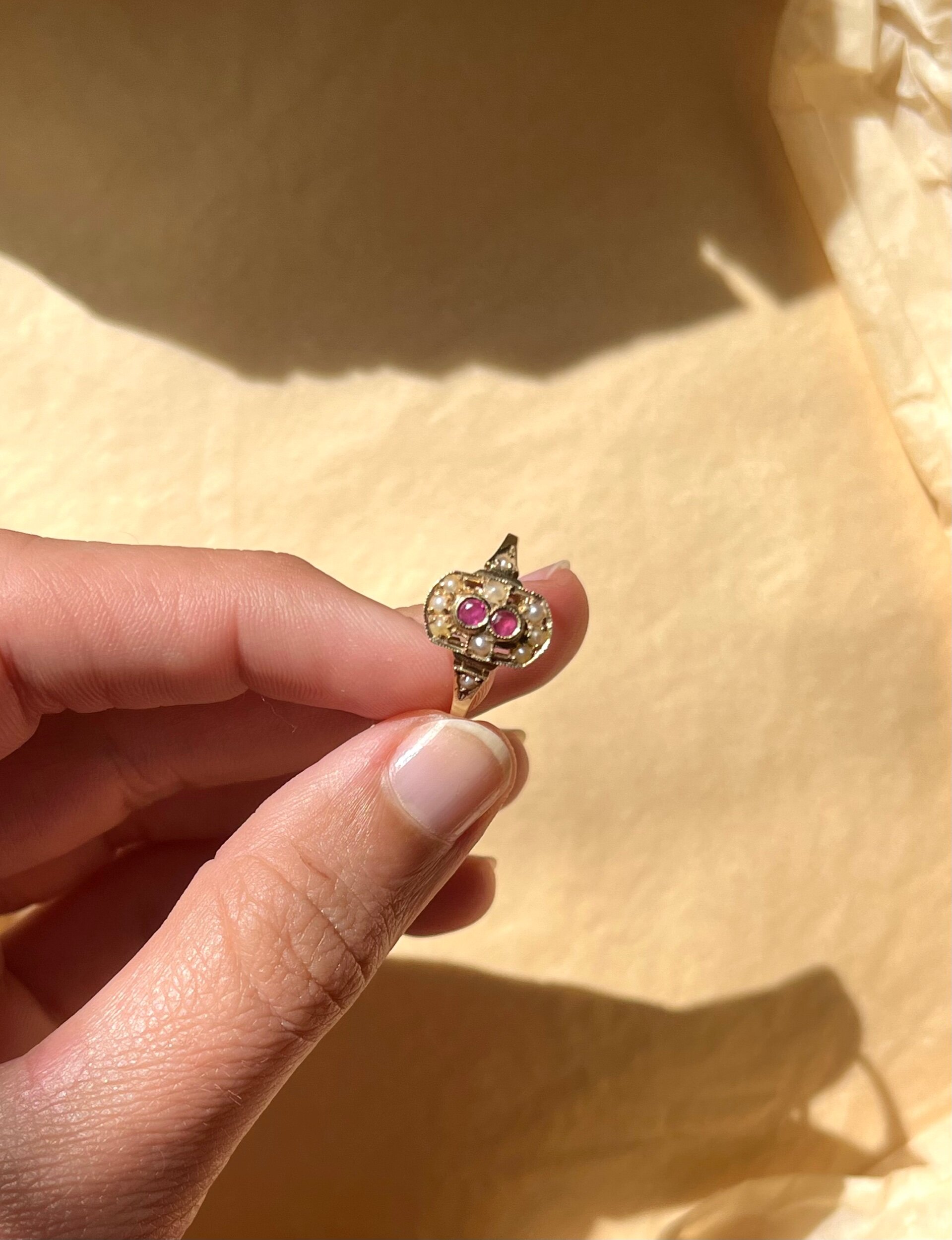 New Arrivals — Lucia Zolea