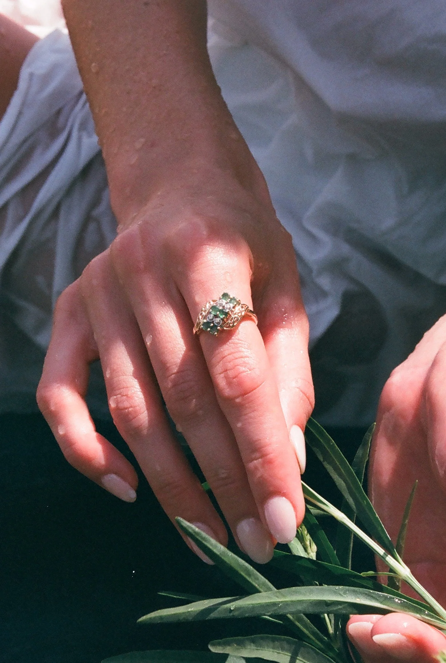 New Arrivals — Lucia Zolea