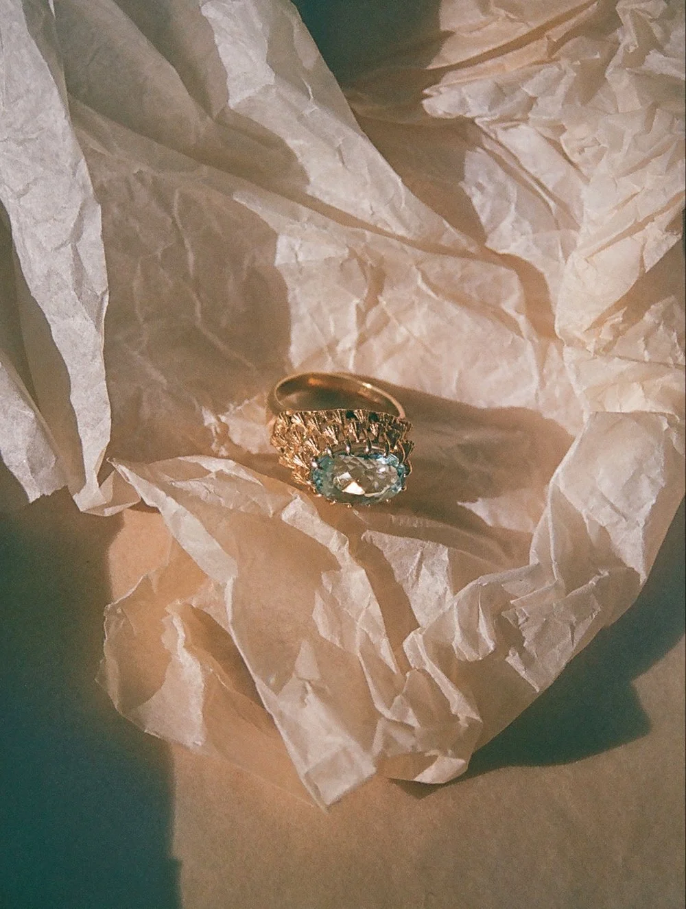 New Arrivals — Lucia Zolea