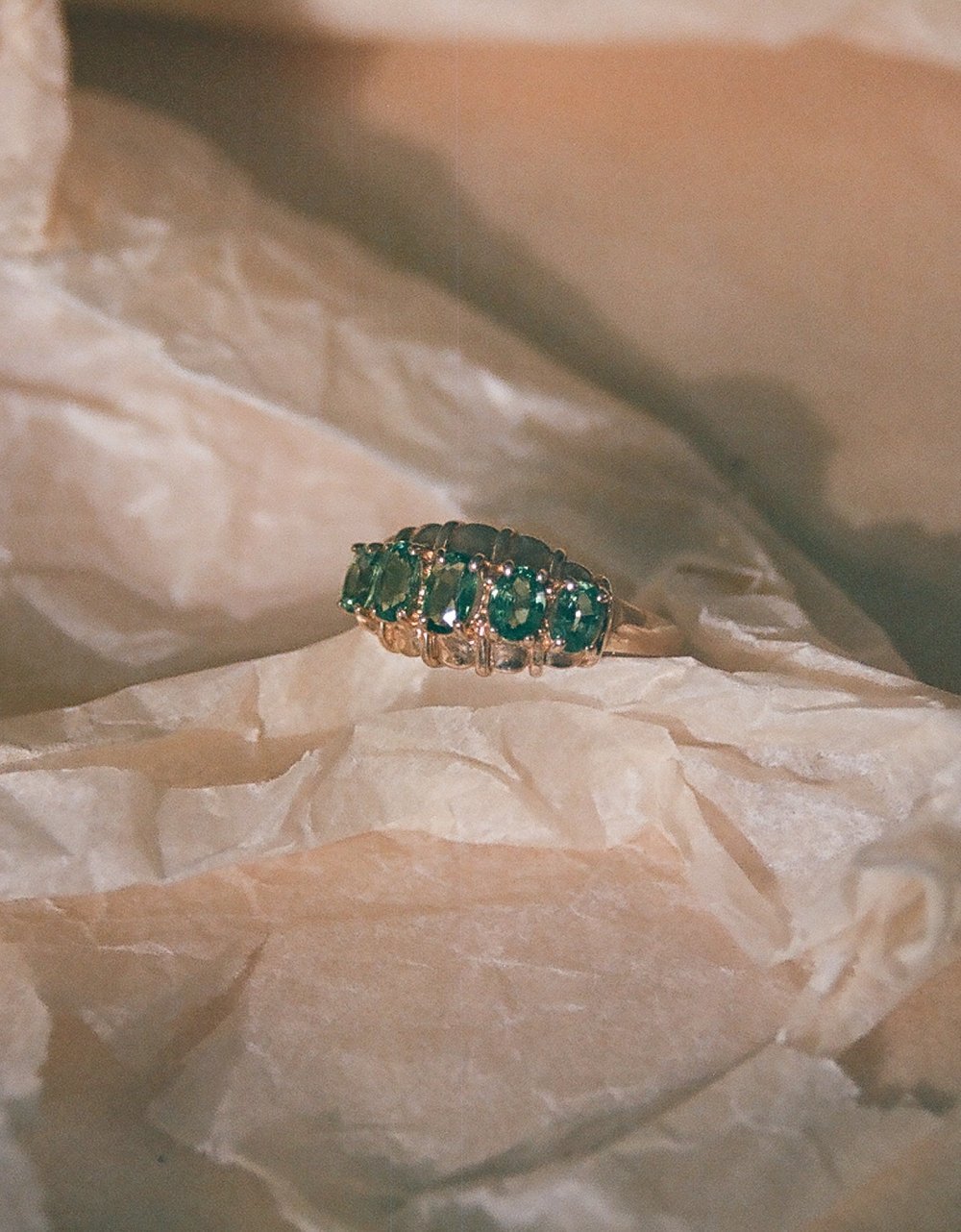 New Arrivals — Lucia Zolea