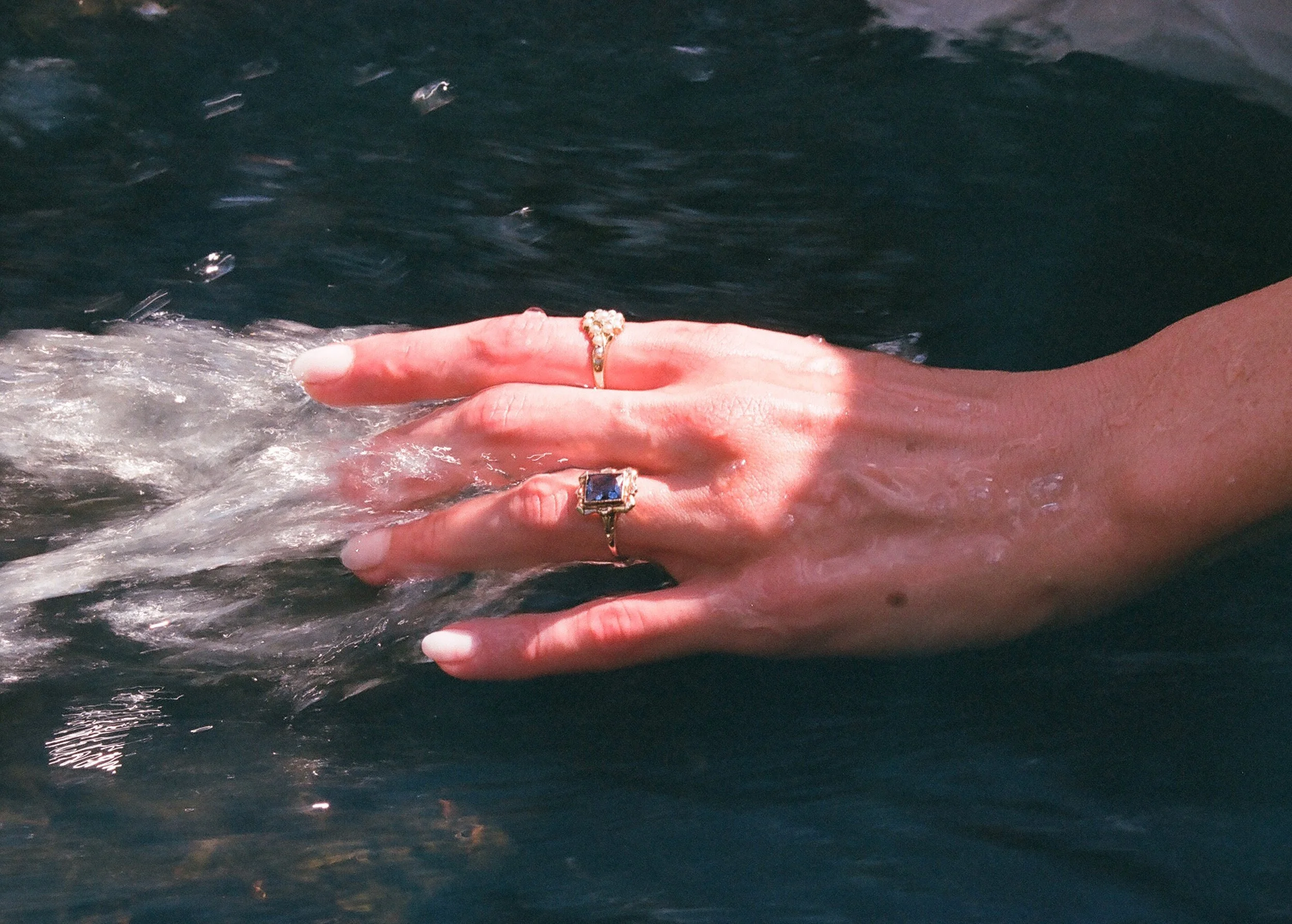 New Arrivals — Lucia Zolea