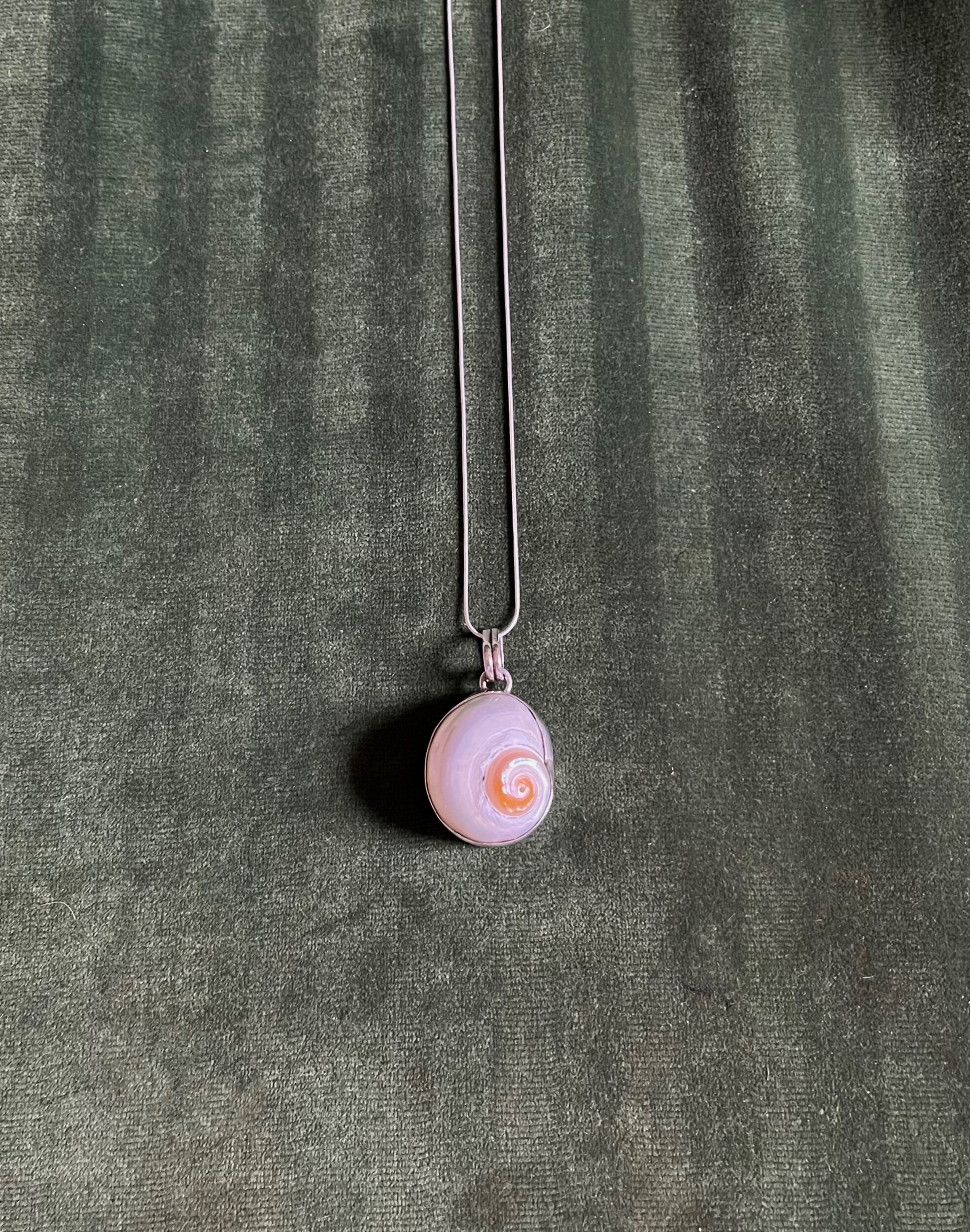 New Arrivals — Lucia Zolea