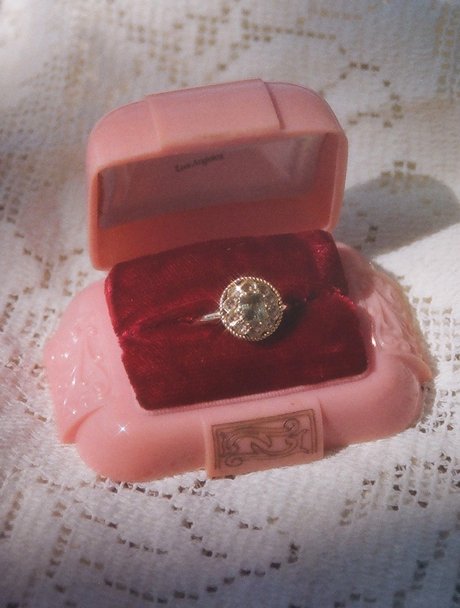 New Arrivals — Lucia Zolea