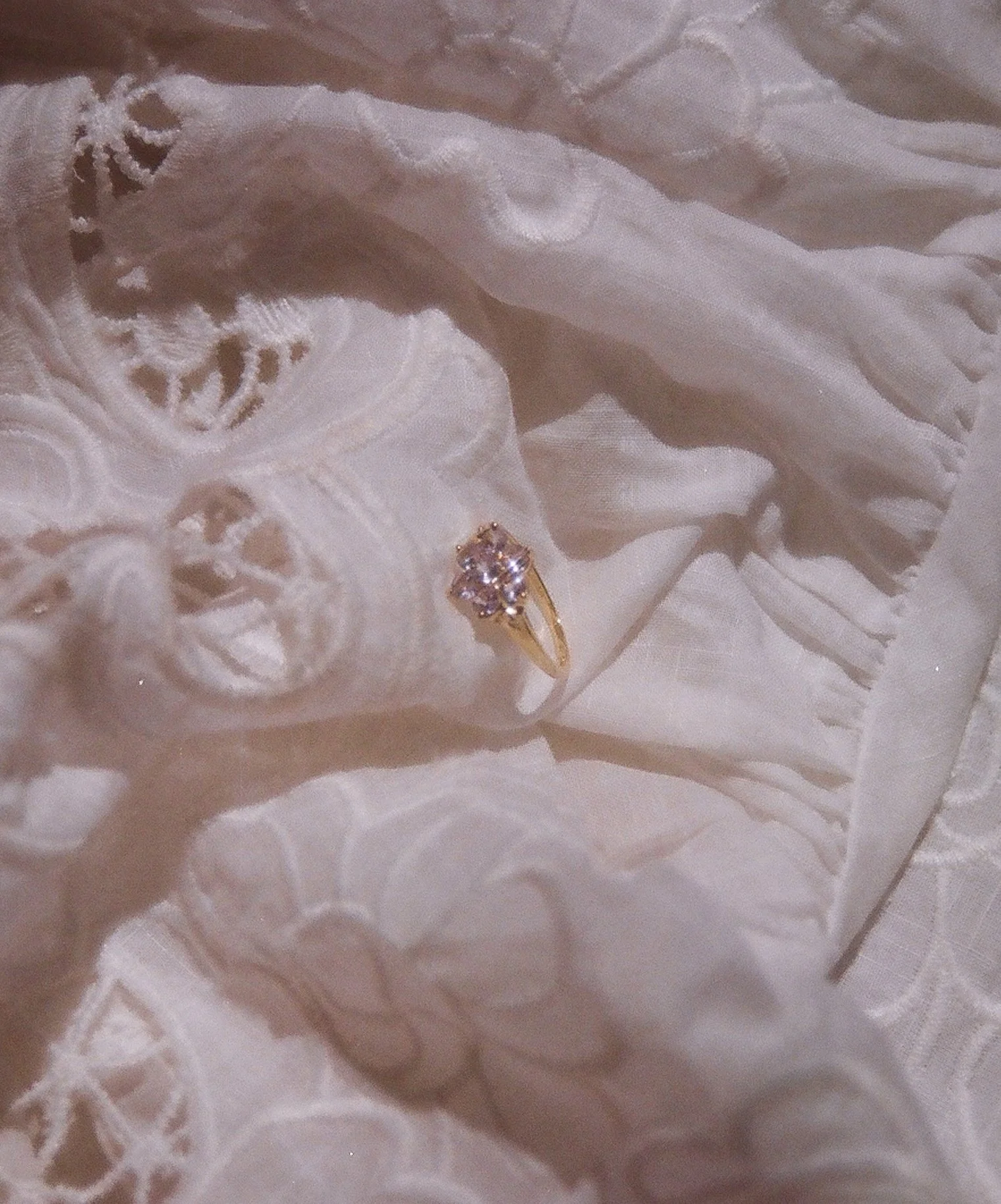 New Arrivals — Lucia Zolea