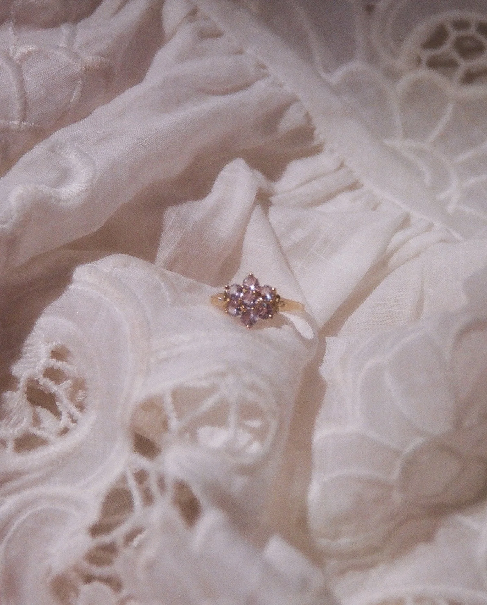 New Arrivals — Lucia Zolea