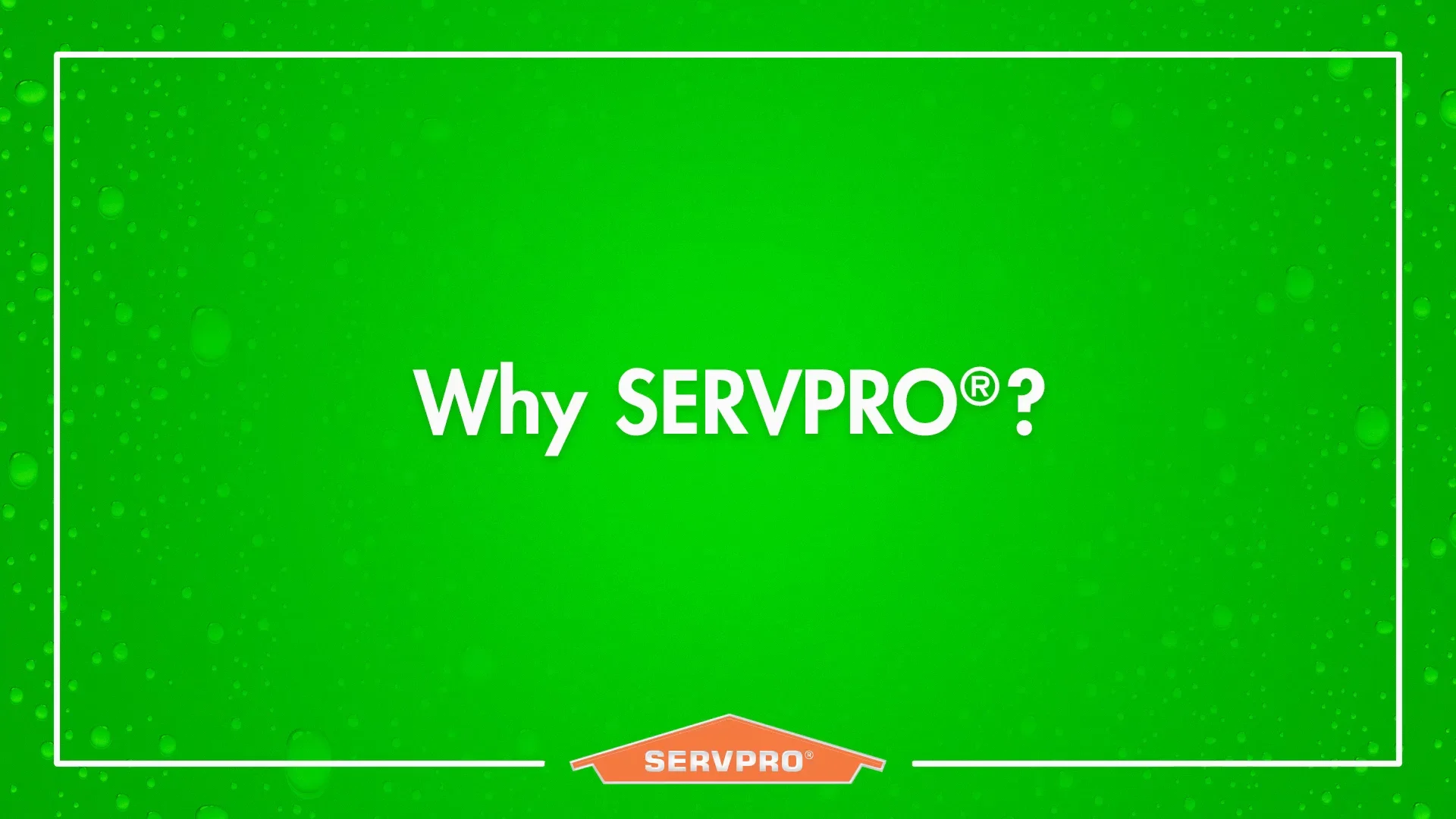 SERVPRO Restoration Social & Digital Media — Aubrey Griggs Design