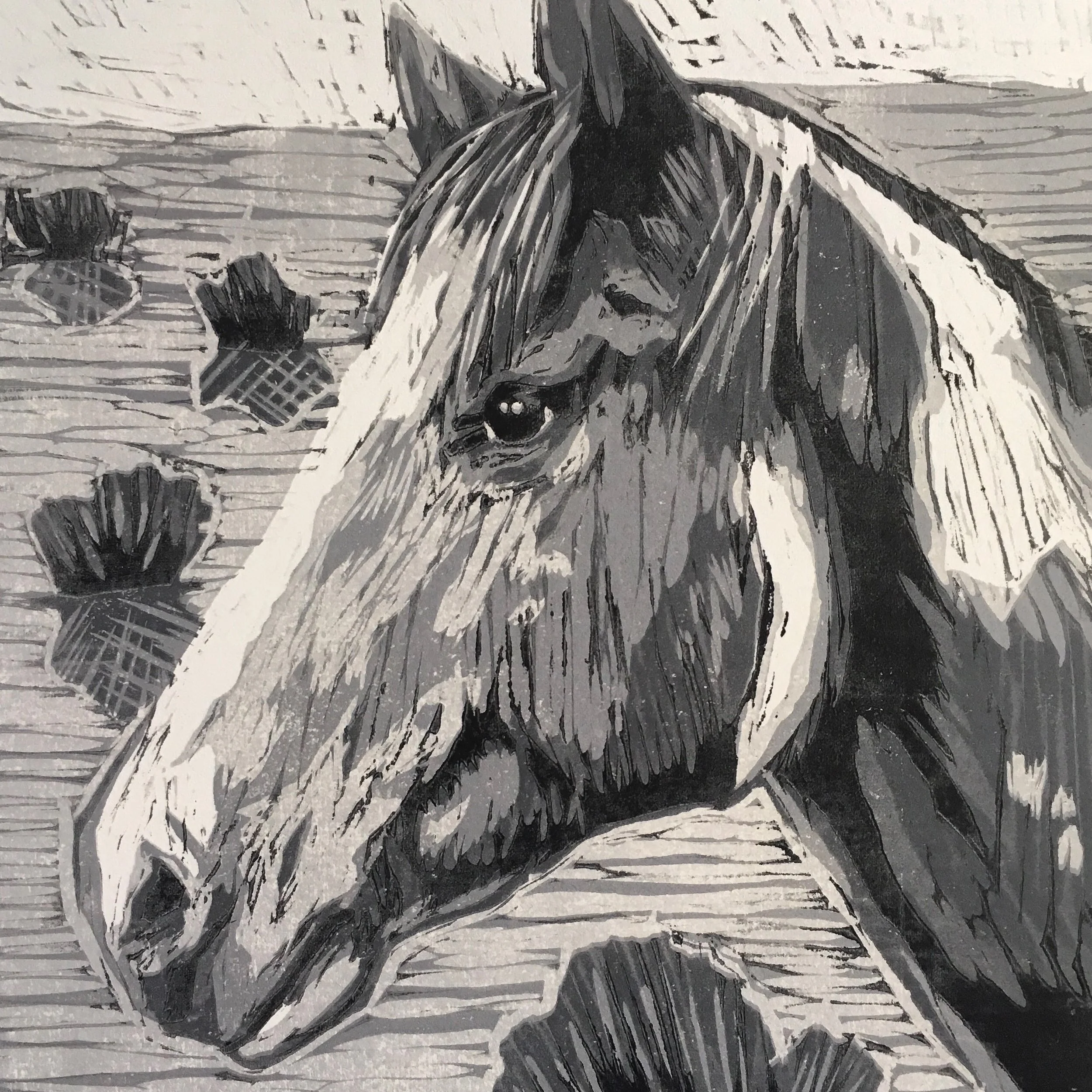 Clara Smith Art and Design