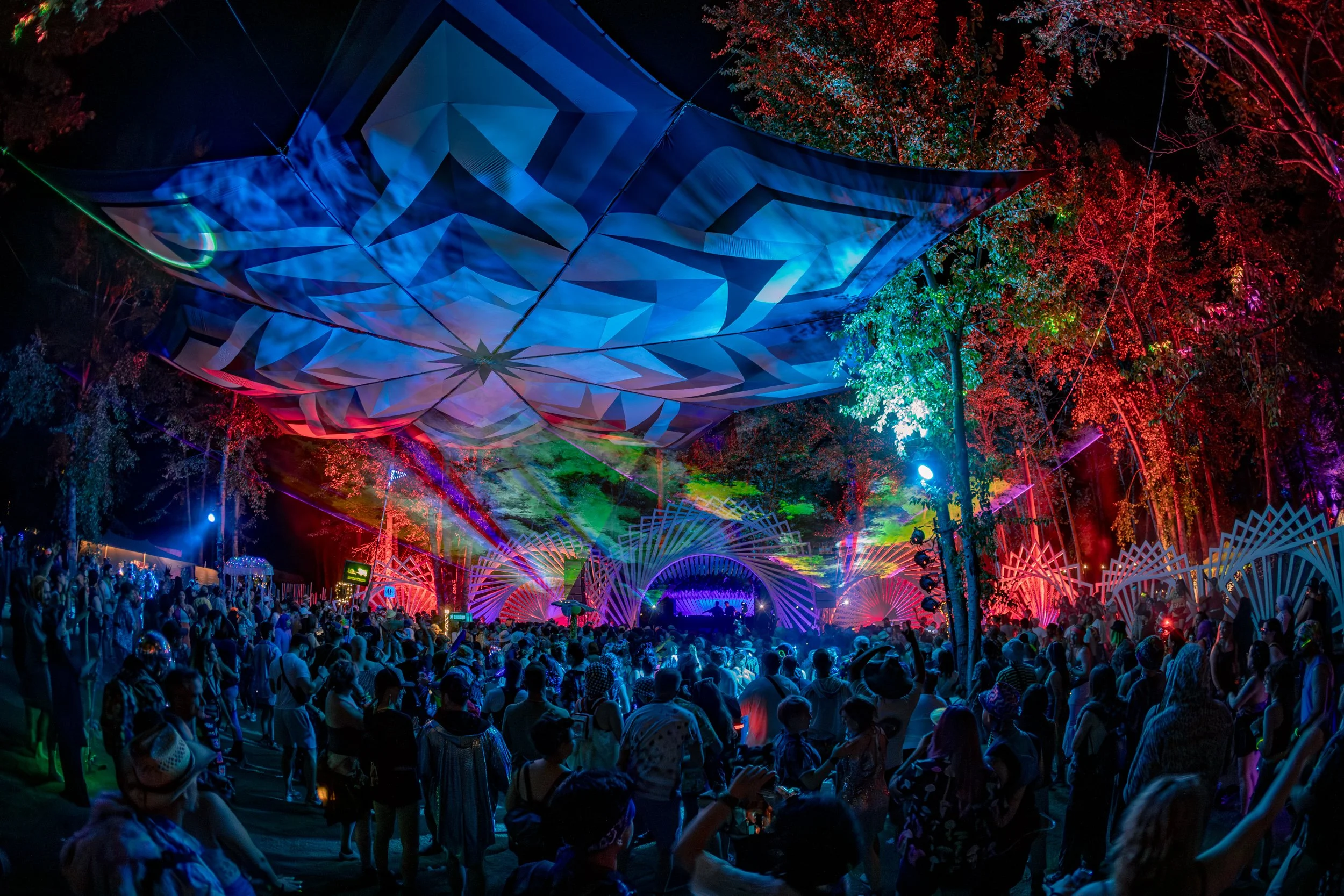 Beyond the Music at Bass Coast — The Rust Music