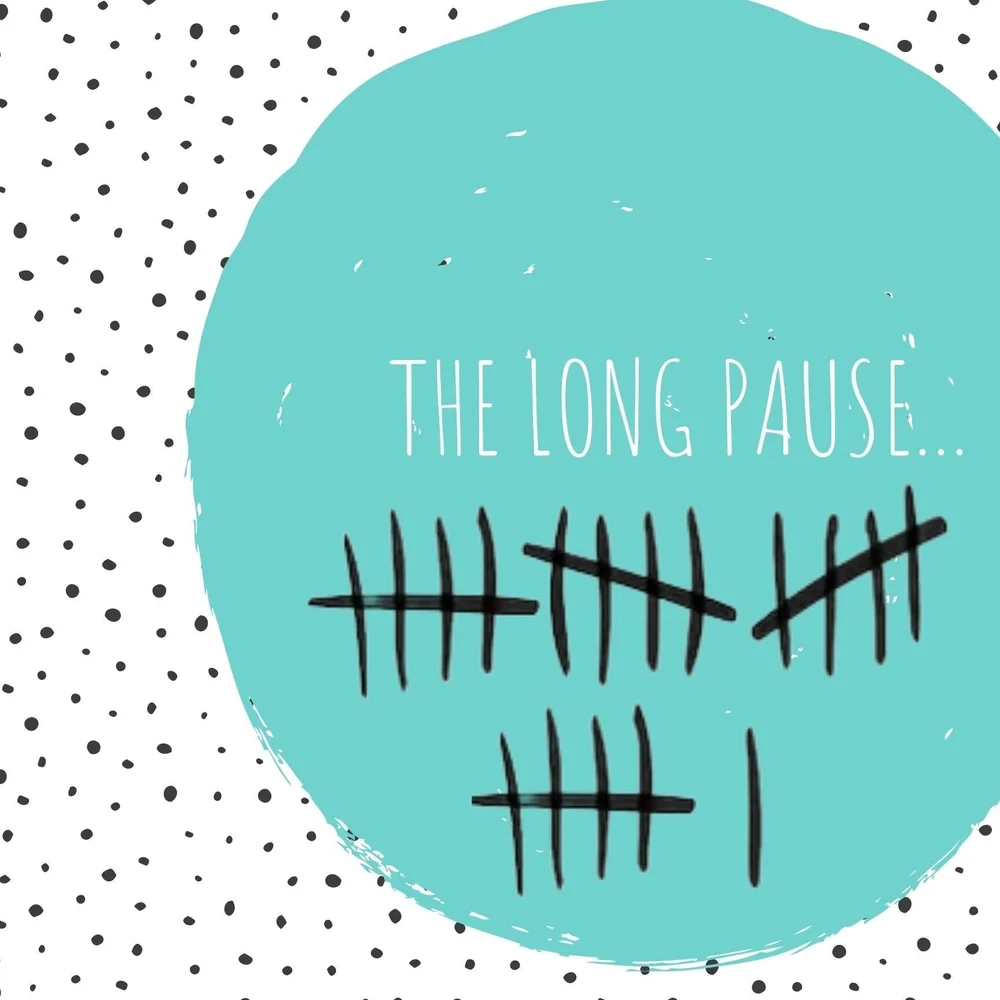 The Long Pause... — Pigeon Pages